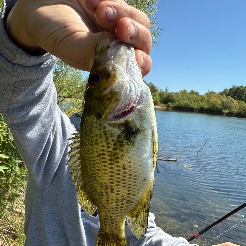 ᐅ Reynolds Ponds fishing reports🎣• Manitoba, Canada fishing