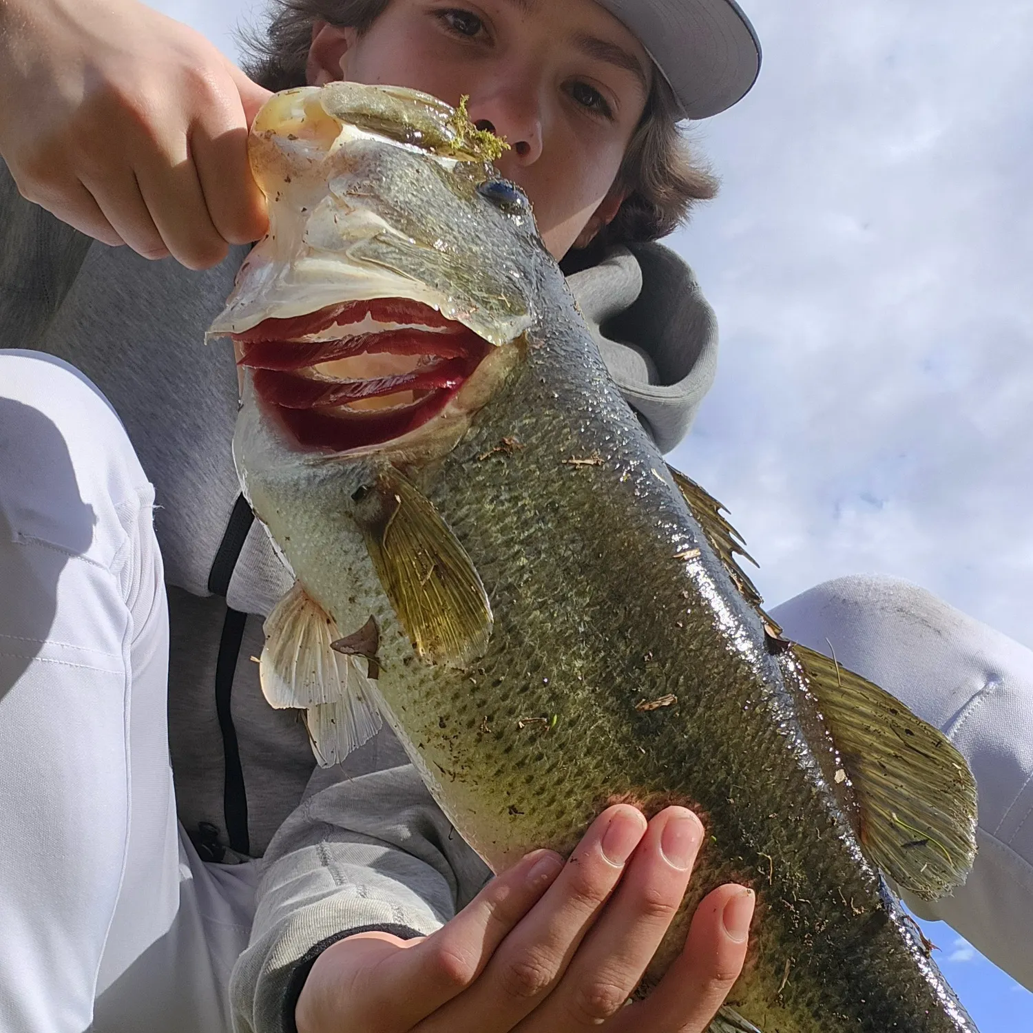 Fishing in Memphis, TN (United States) ️️️️ Find Spots, Species & Tips