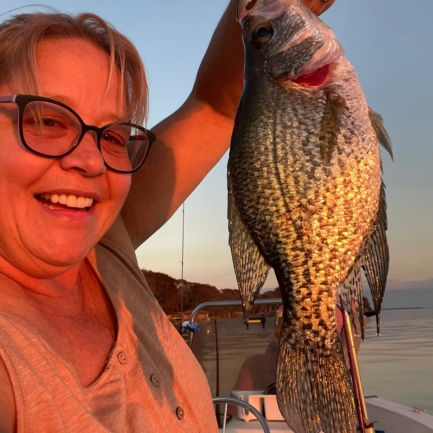 ᐅ Lake Harris fishing reports🎣• Tavares, FL (United States) fishing