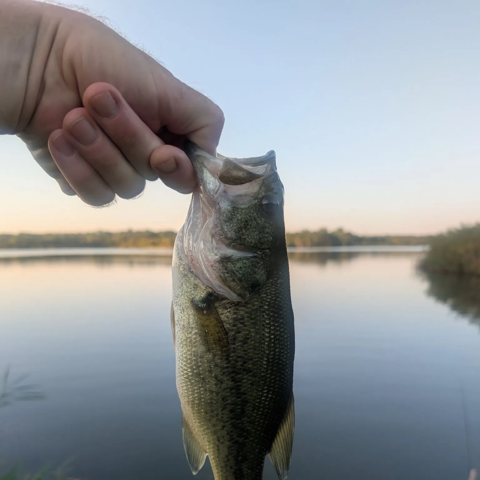 Fishing in Omaha, NE (United States) ️️️️ Find Spots, Species & Tips