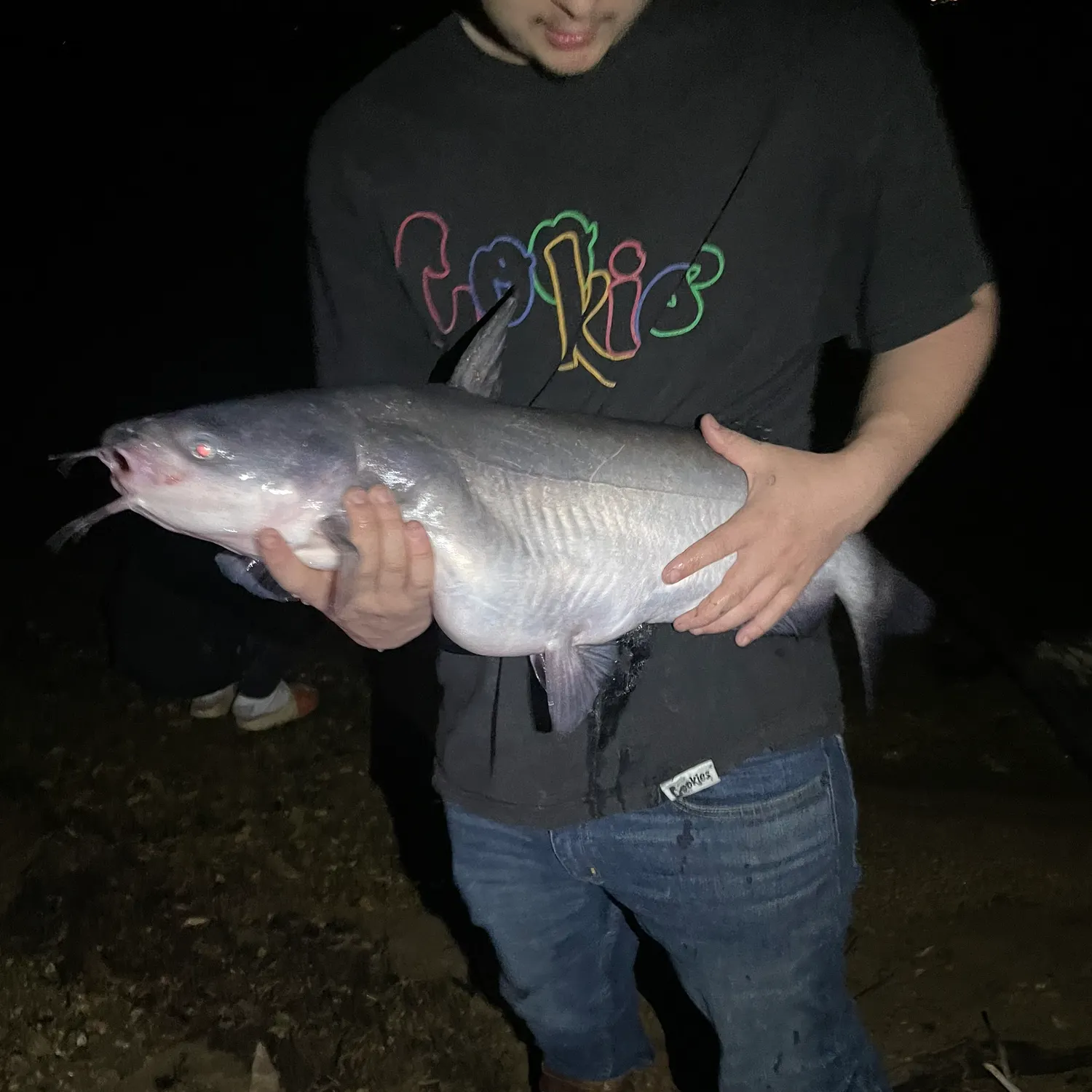 Fishing for Blue catfish near you