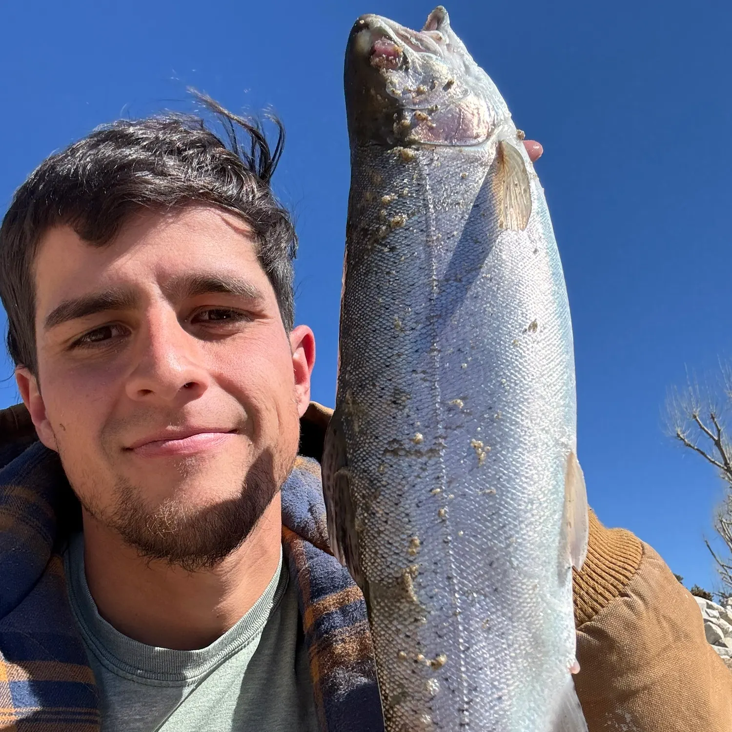 ᐅ Big Bear Lake fishing reports🎣• Big Bear City, CA (United States) fishing