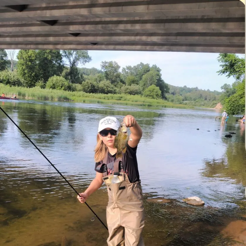 ᐅ Tippy Dam Pond fishing reports🎣• Cadillac, MI (United States) fishing