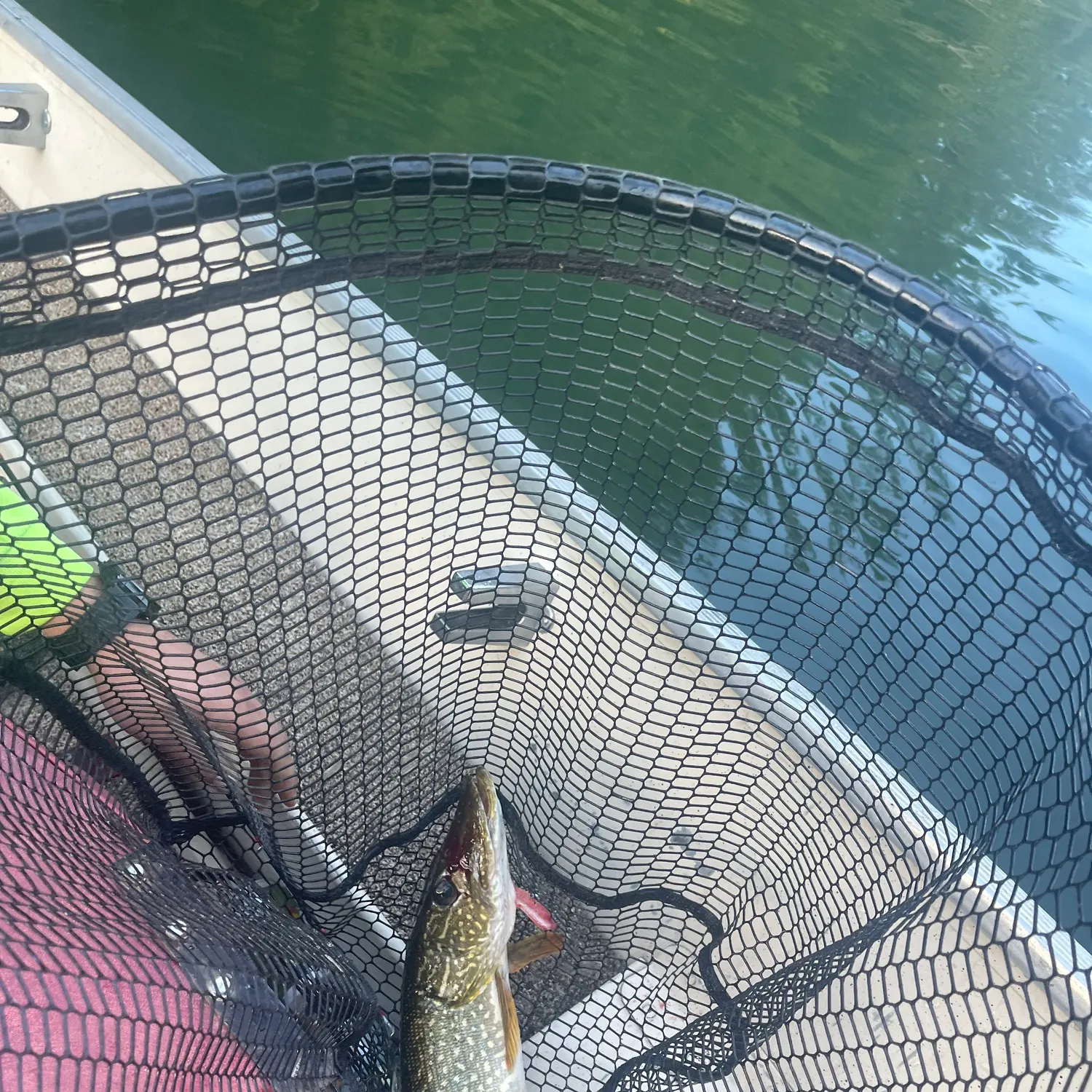 ᐅ Tippy Dam Pond fishing reports🎣• Cadillac, MI (United States) fishing