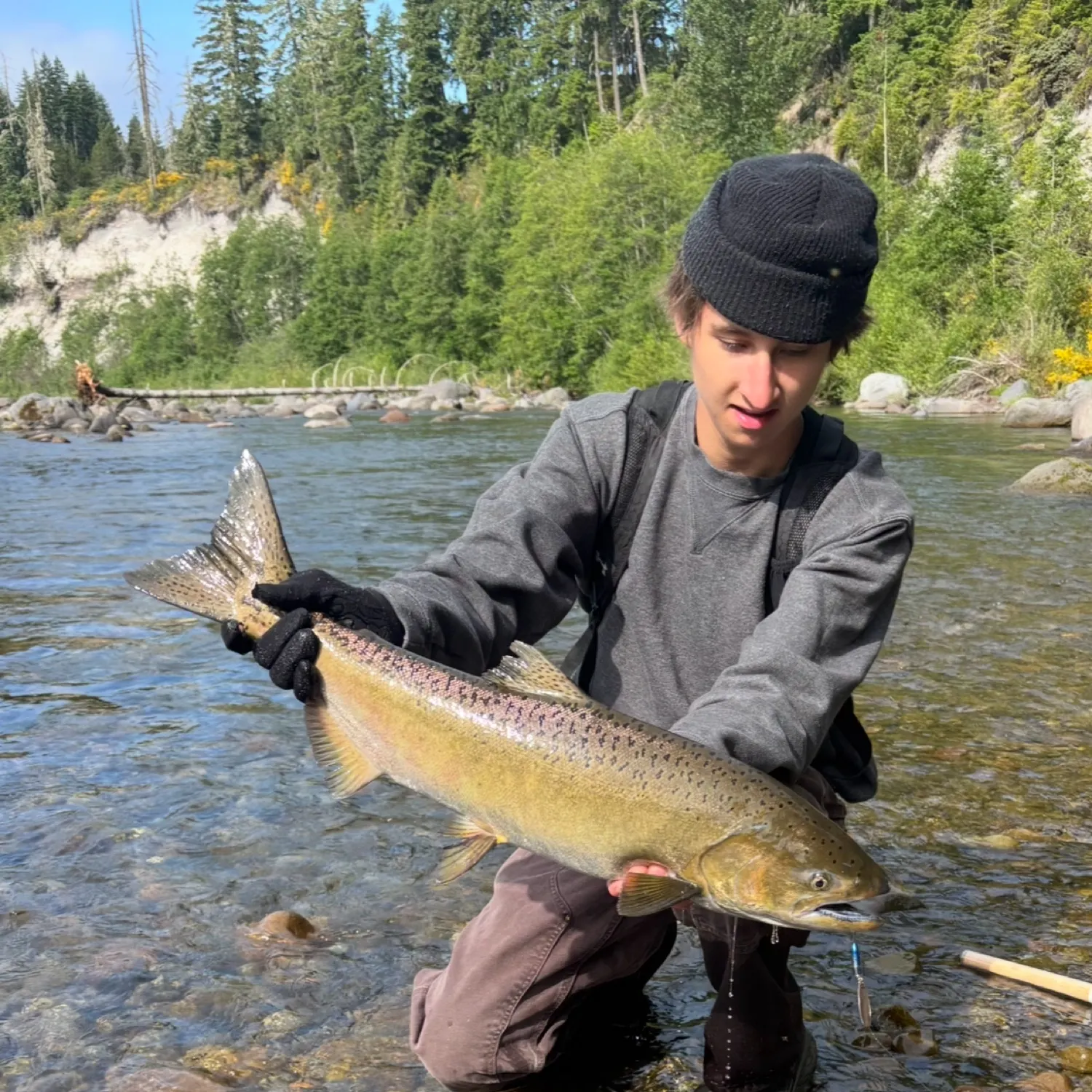 ᐅ Cowlitz River fishing reports🎣• Longview, WA (United States) fishing