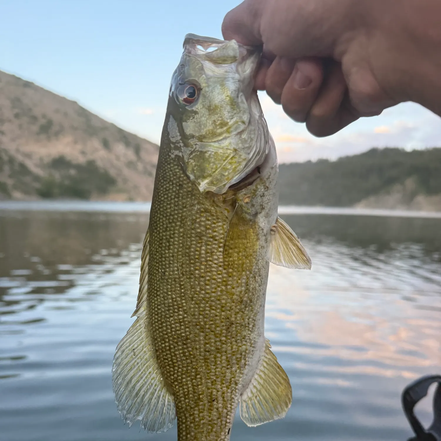 ᐅ Anderson Ranch Reservoir fishing reports🎣• Mountain Home, ID (United ...