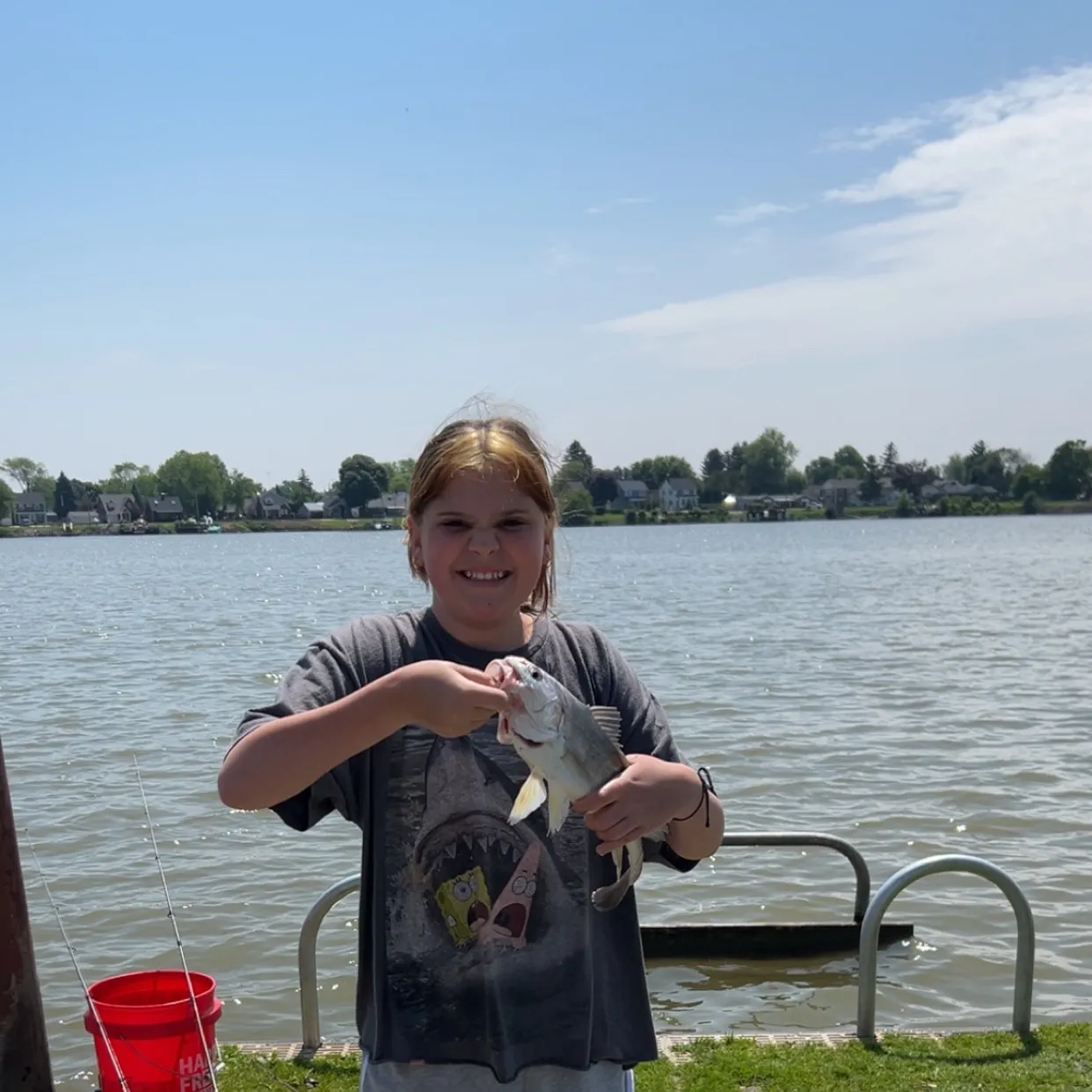 Fishing in Toledo, OH (United States) ️️️️ Find Spots, Species & Tips