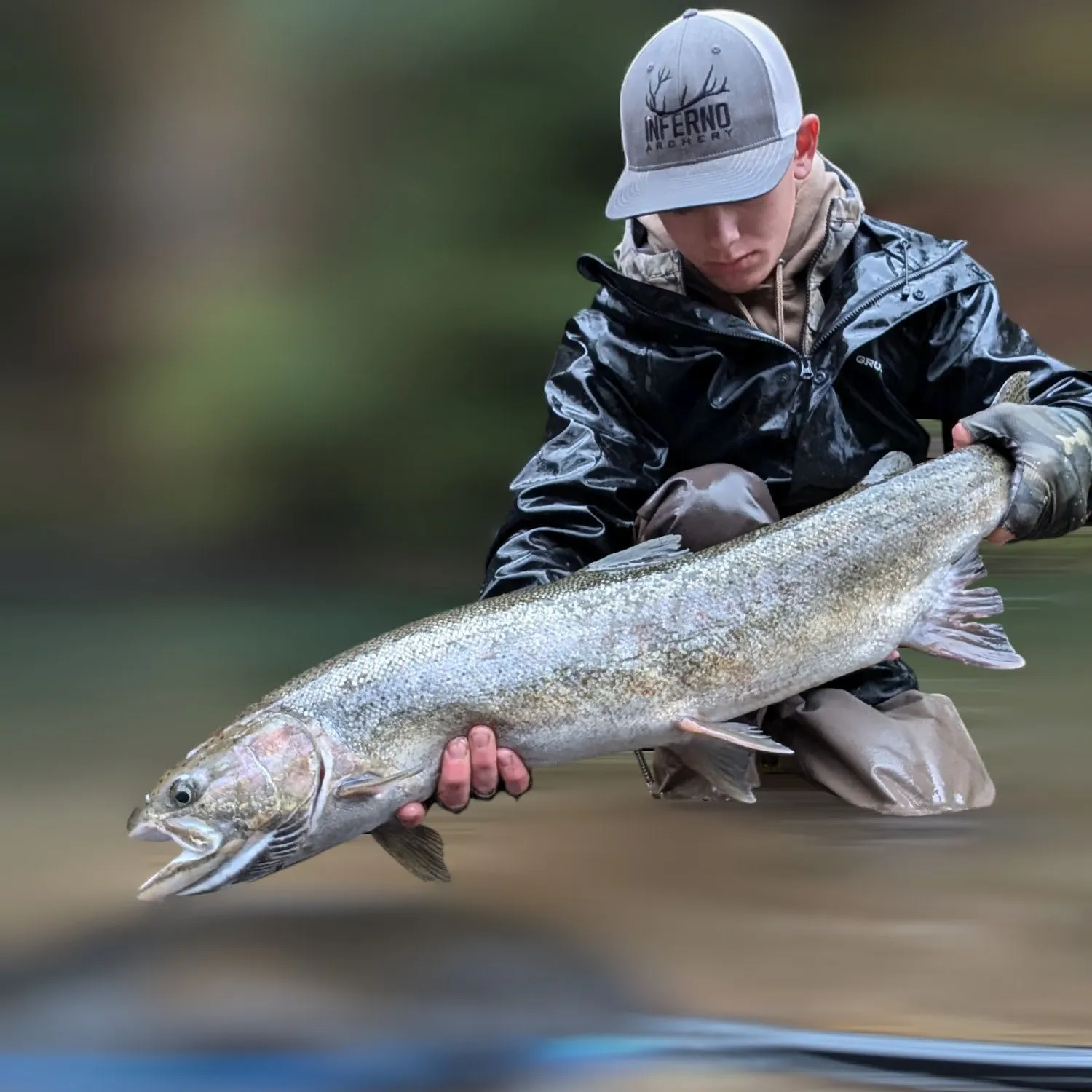 ᐅ Cowlitz River fishing reports🎣• Longview, WA (United States) fishing