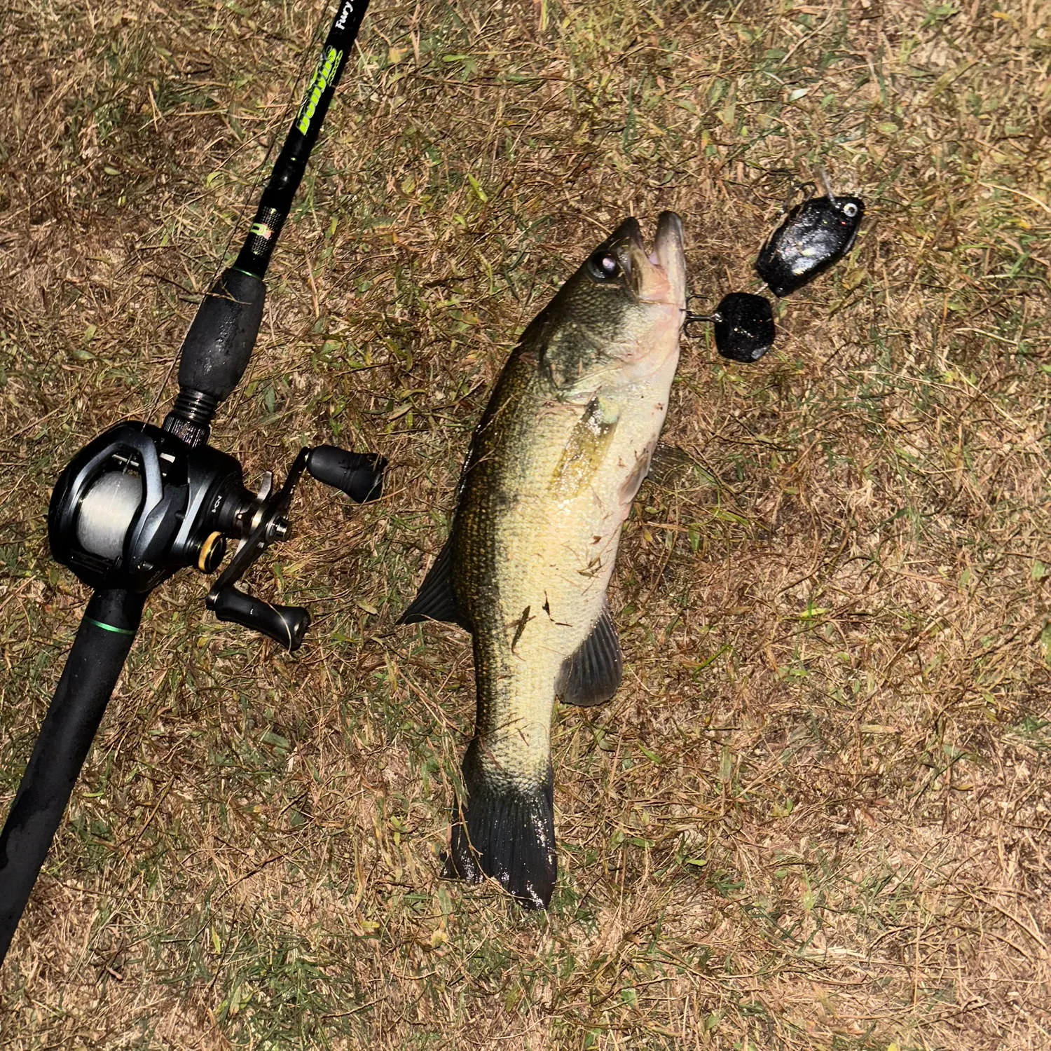Fishing in Tucson, AZ (United States) ️️️️ Find Spots, Species & Tips