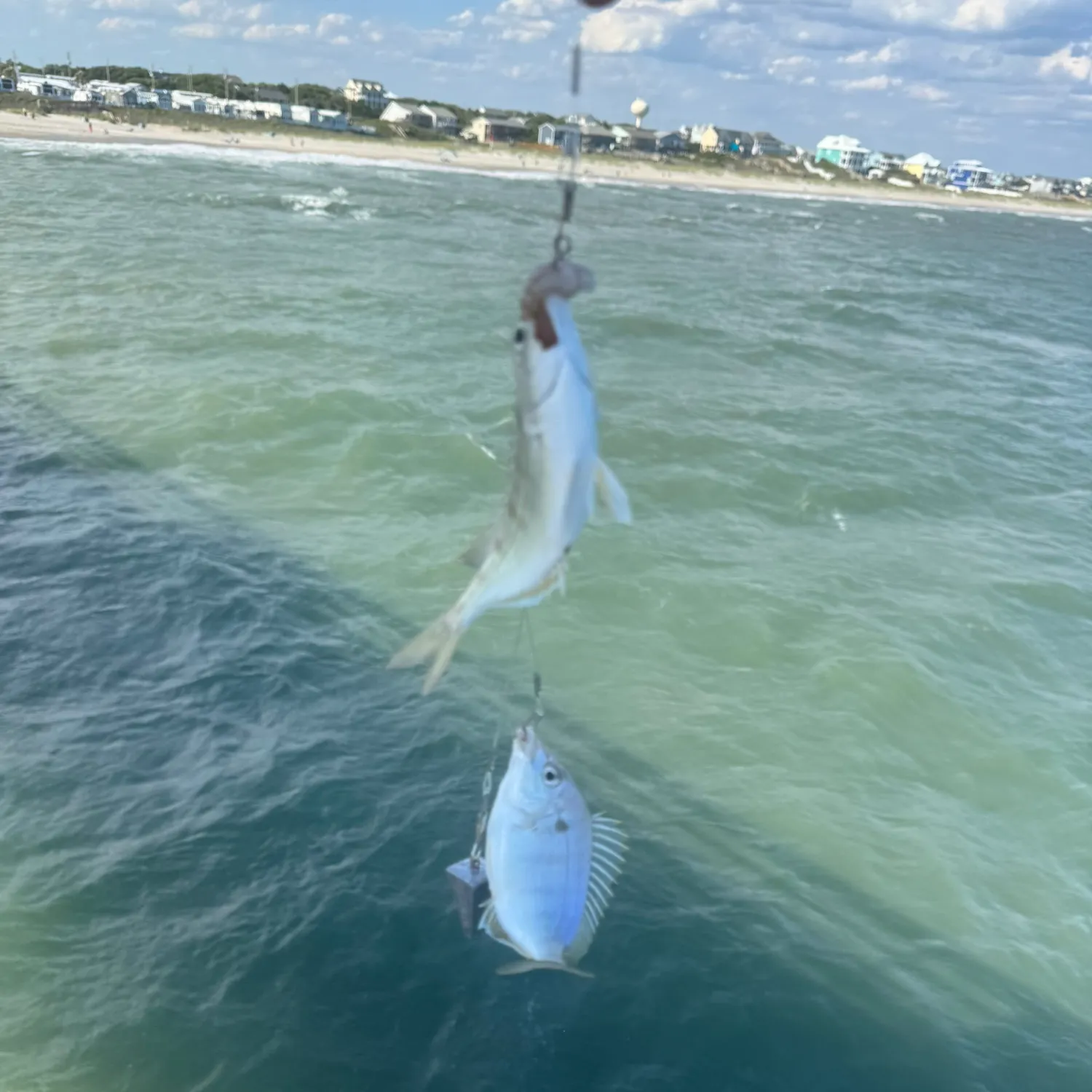 ᐅ Bogue Inlet Fishing Pier fishing reports🎣• Swansboro, NC (United ...