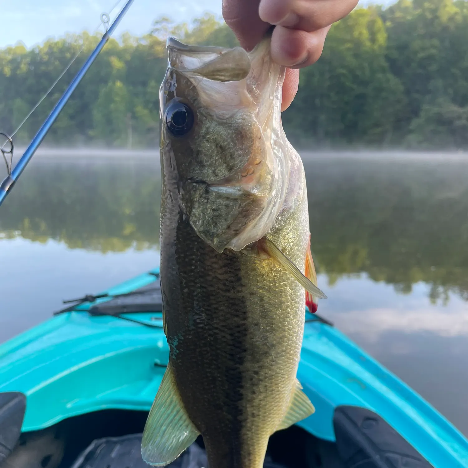 ᐅ Lake Zwerner (Yahoola Creek Reservoir) fishing reports🎣• Gainesville ...