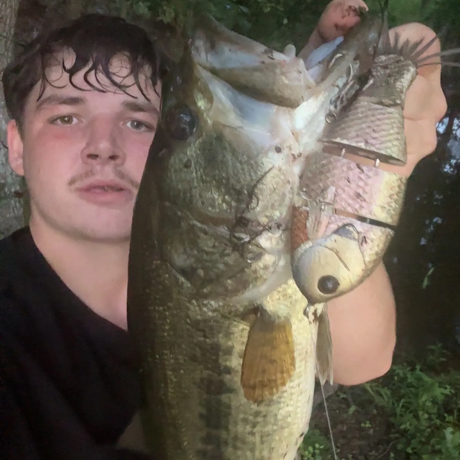Fishing in Tulsa, OK (United States) ️️️️ Find Spots, Species & Tips