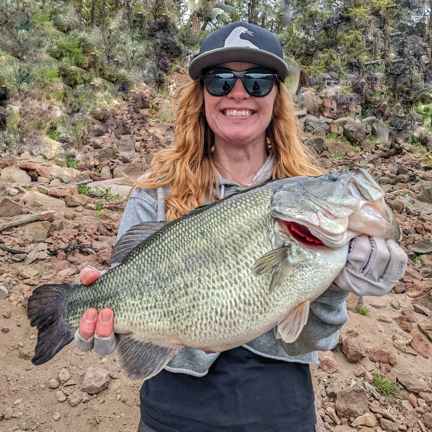 Fishing for Largemouth bass near you