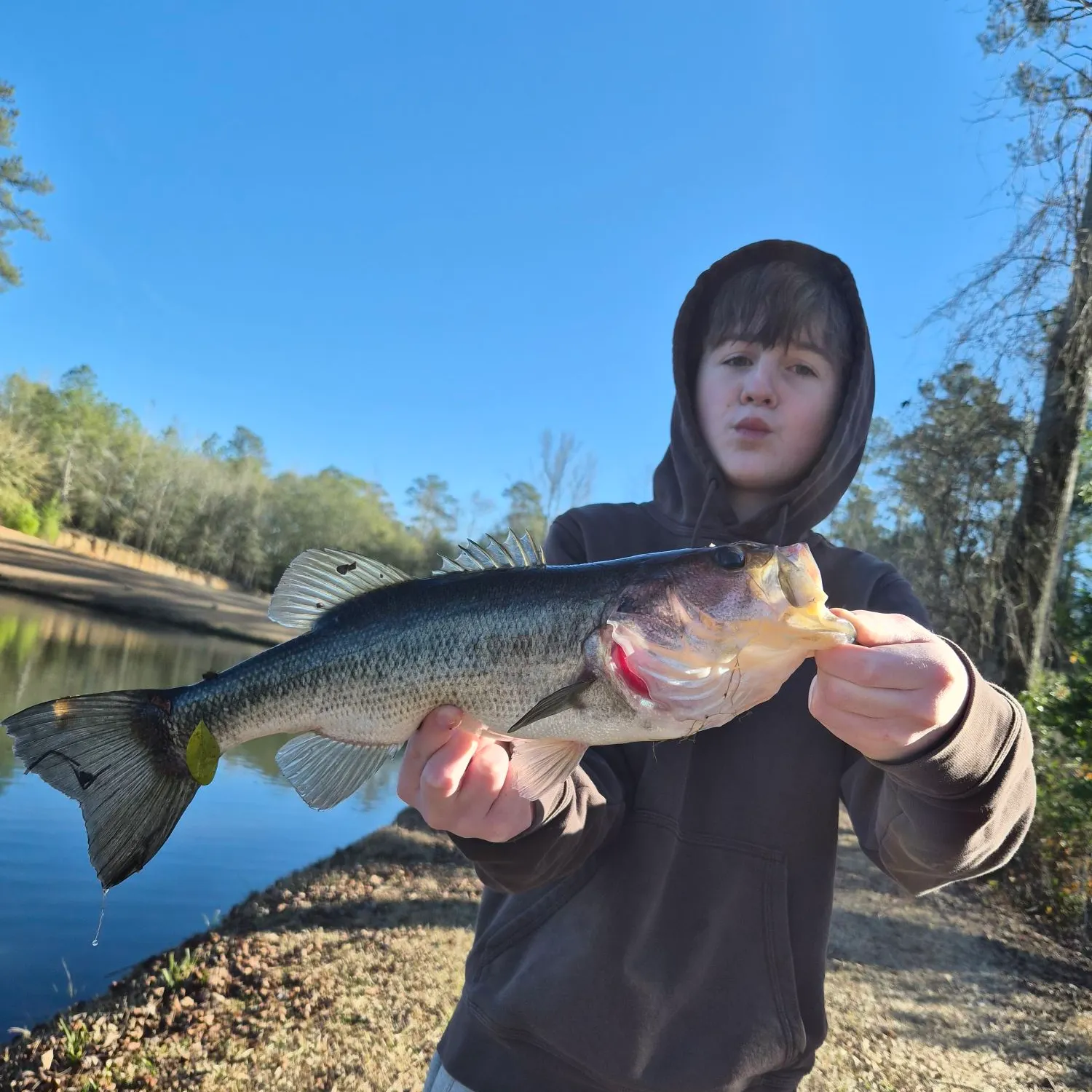 Fishing in Augusta, GA (United States) ️️️️ Find Spots, Species & Tips