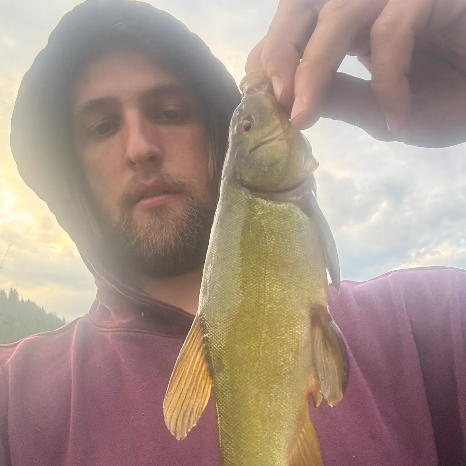 Fishing in Spokane, WA (United States) ️️️️ Find Spots, Species & Tips