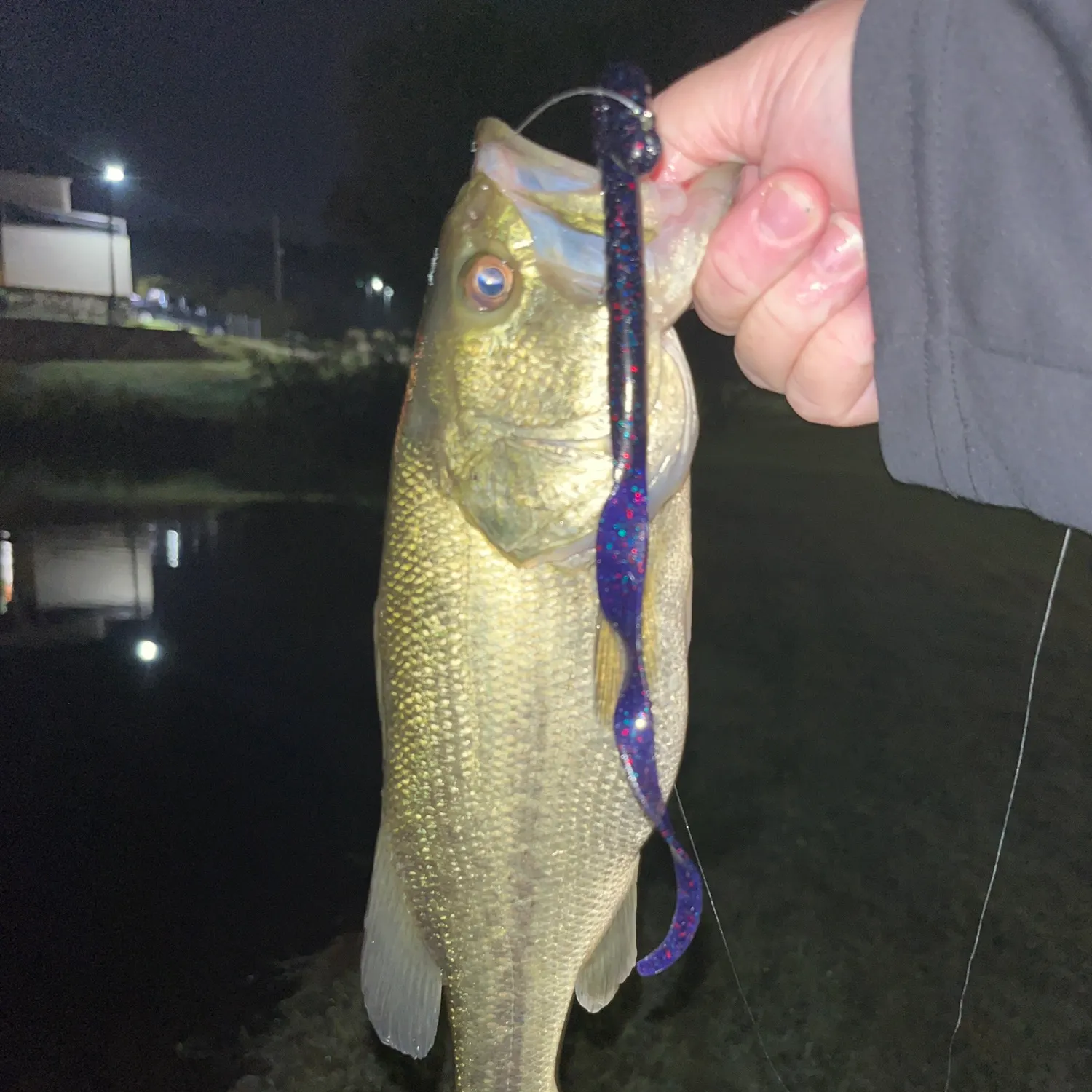 Fishing in Tulsa, OK (United States) ️️️️ Find Spots, Species & Tips