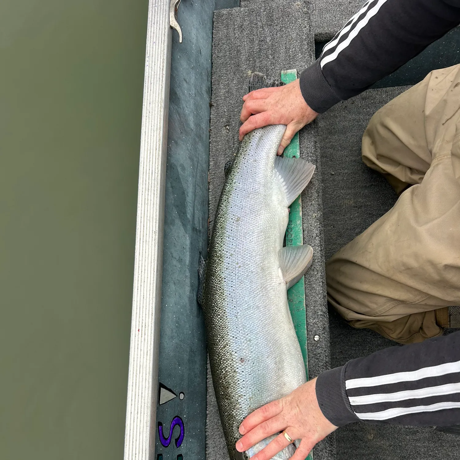 ᐅ Chagrin River fishing reports🎣• Mayfield Heights, OH (United States ...