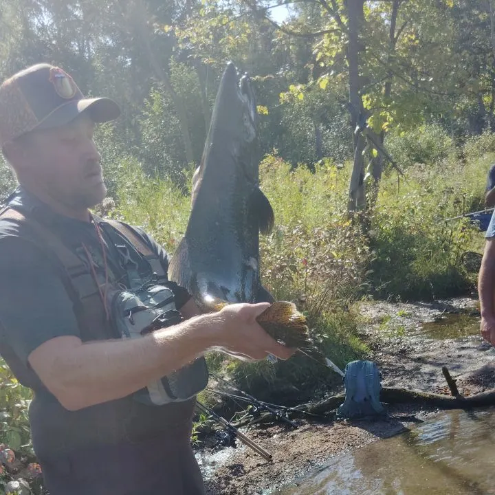 ᐅ Tippy Dam Pond fishing reports🎣• Cadillac, MI (United States) fishing