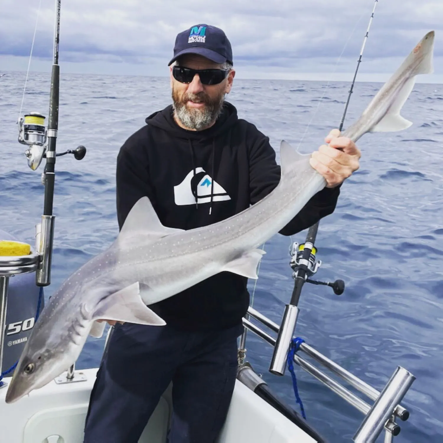 ᐅ Portland fishing reports🎣• Victoria, Australia fishing