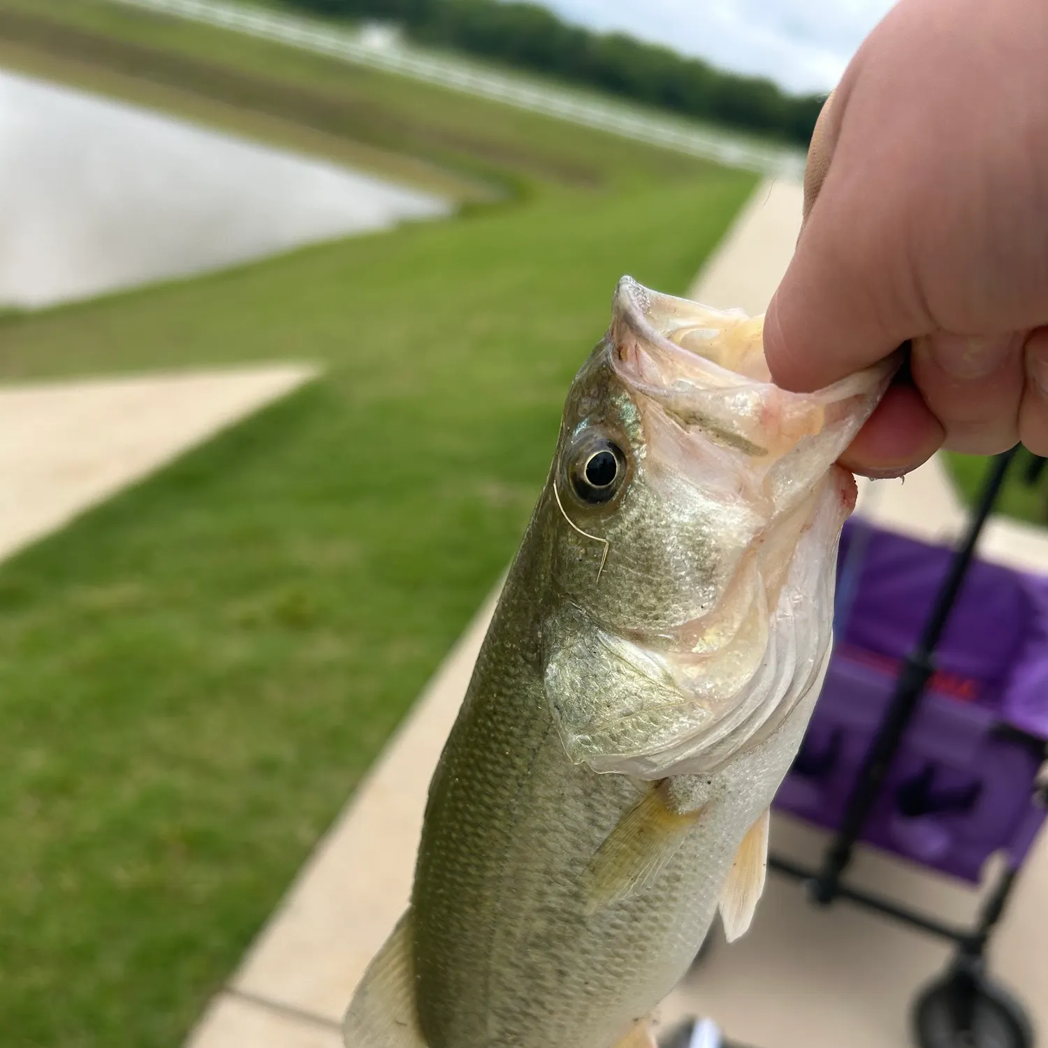 Fishing in Tulsa, OK (United States) ️️️️ Find Spots, Species & Tips
