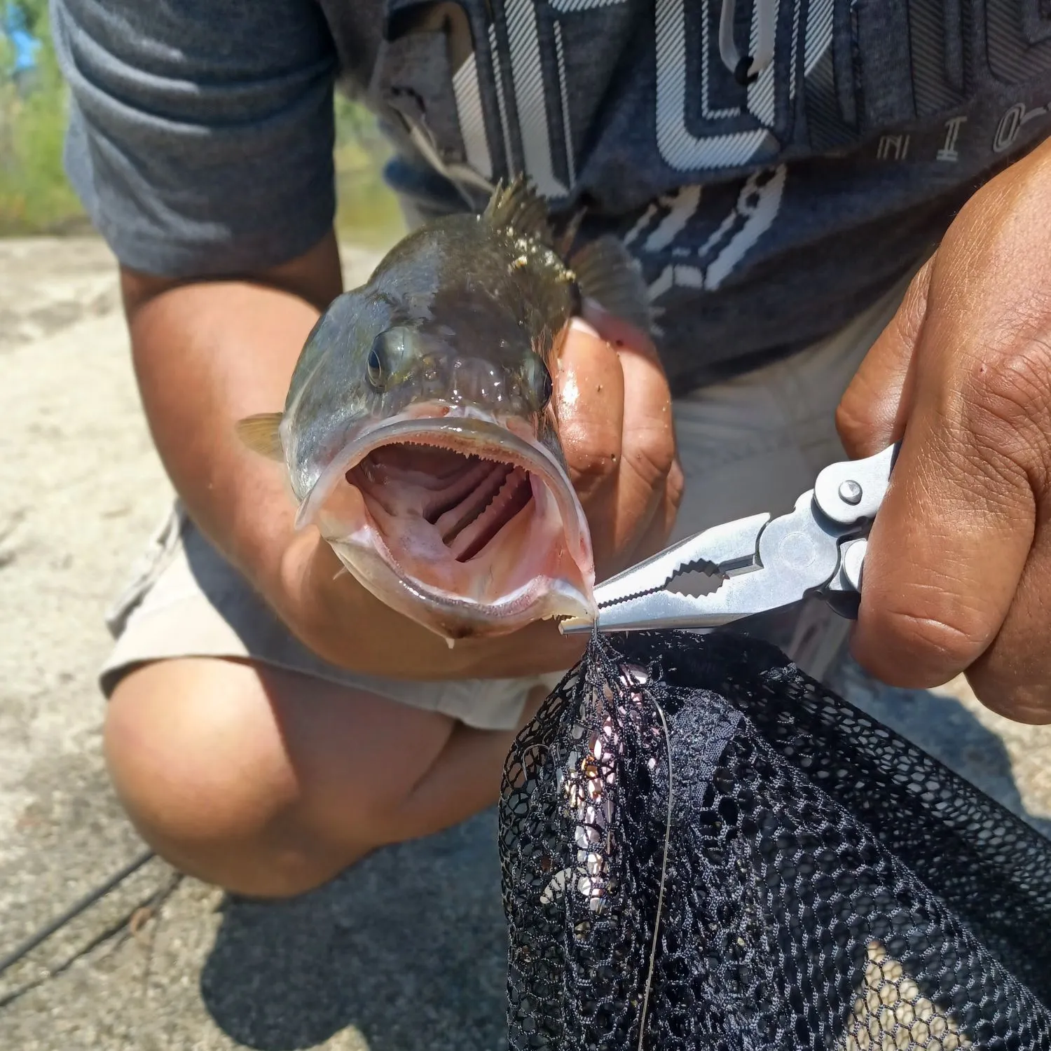 ᐅ Lake Henshaw fishing reports🎣• Ramona, CA (United States) fishing