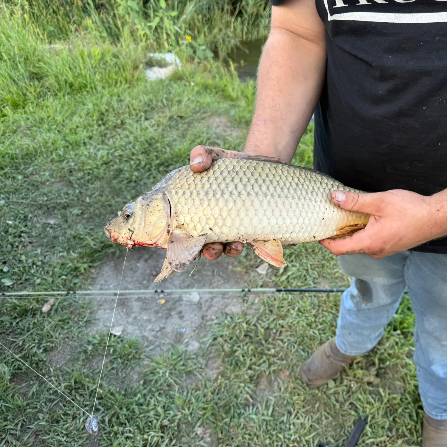 Fishing in Omaha, NE (United States) ️️️️ Find Spots, Species & Tips