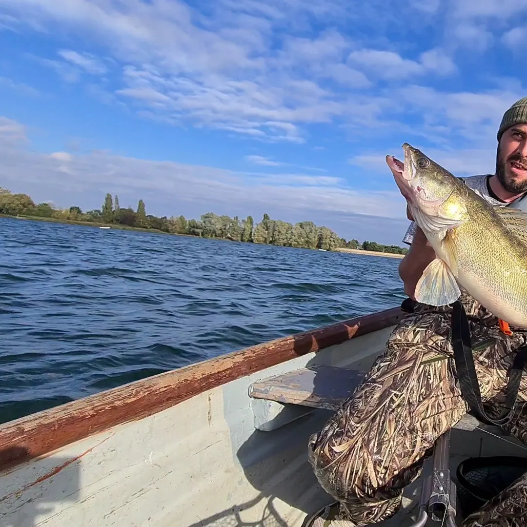 ᐅ Grafham Water fishing reports🎣• England, United Kingdom fishing