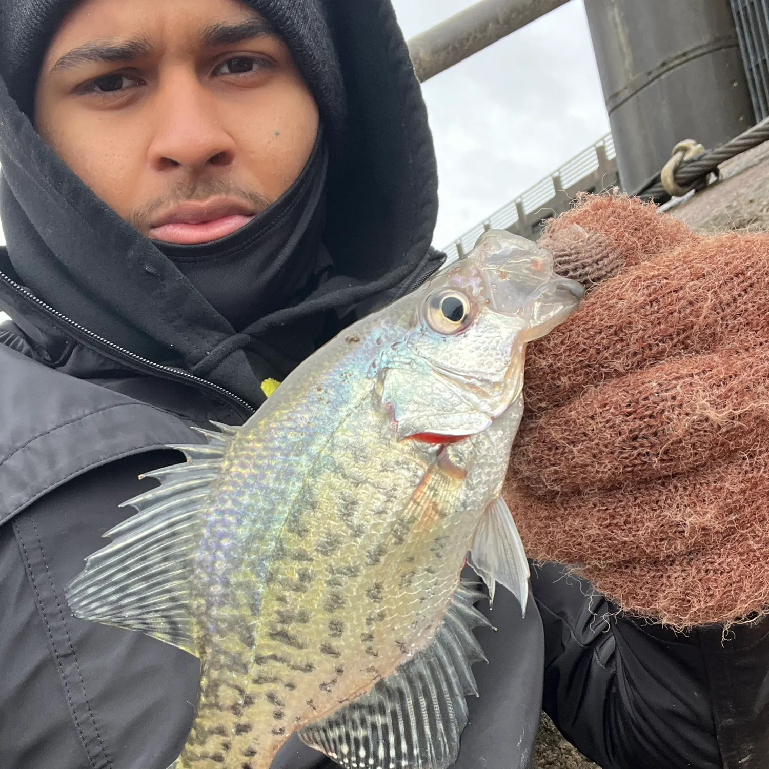 ᐅ Hoover Reservoir fishing reports🎣• Westerville, OH (United States ...