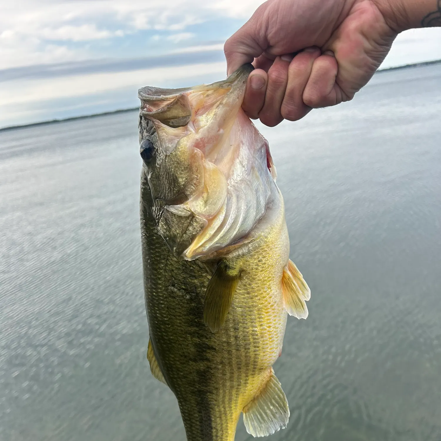 ᐅ Chaumont Bay fishing reports🎣• Watertown, NY (United States) fishing