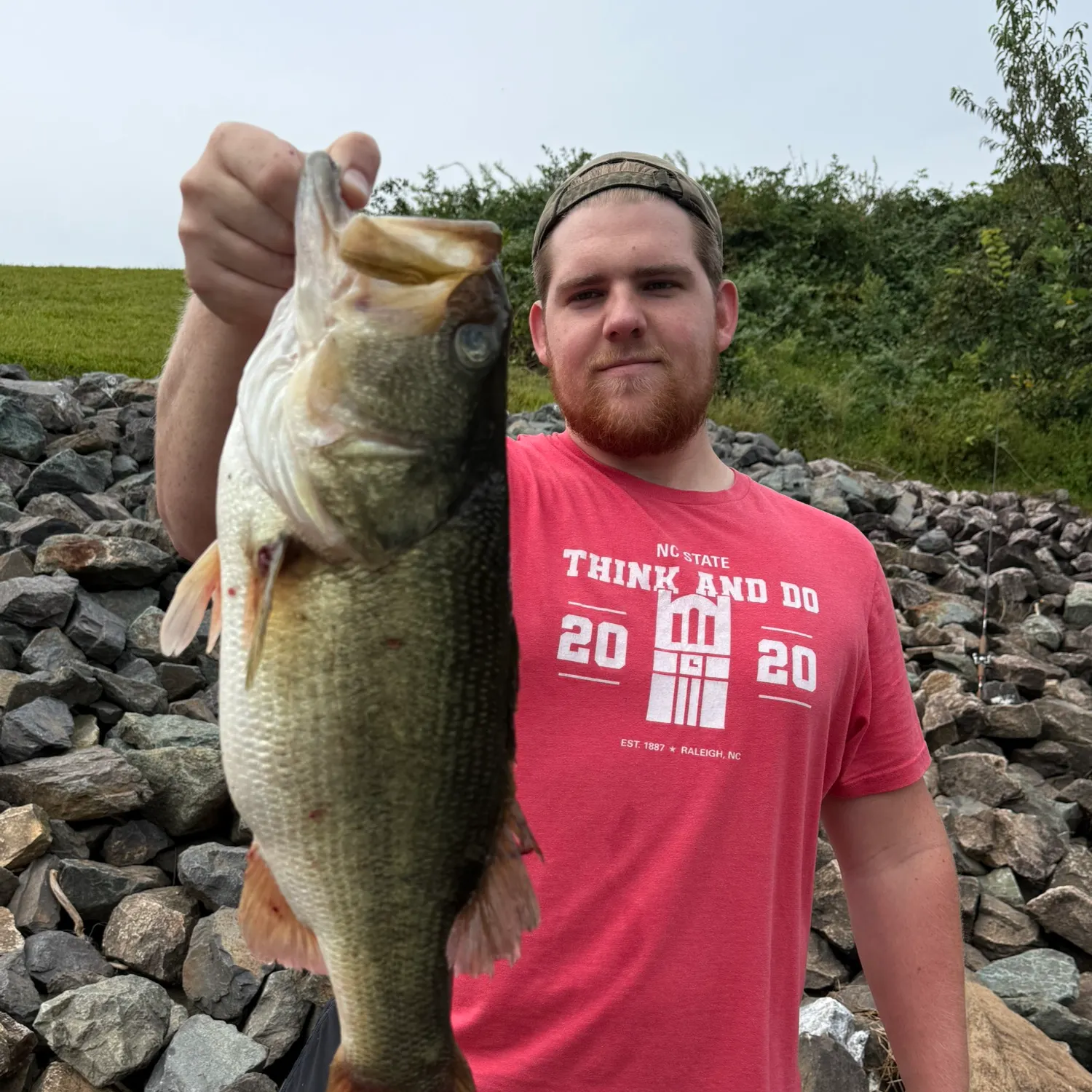 Fishing in Raleigh, NC (United States) ️️️️ Find Spots, Species & Tips