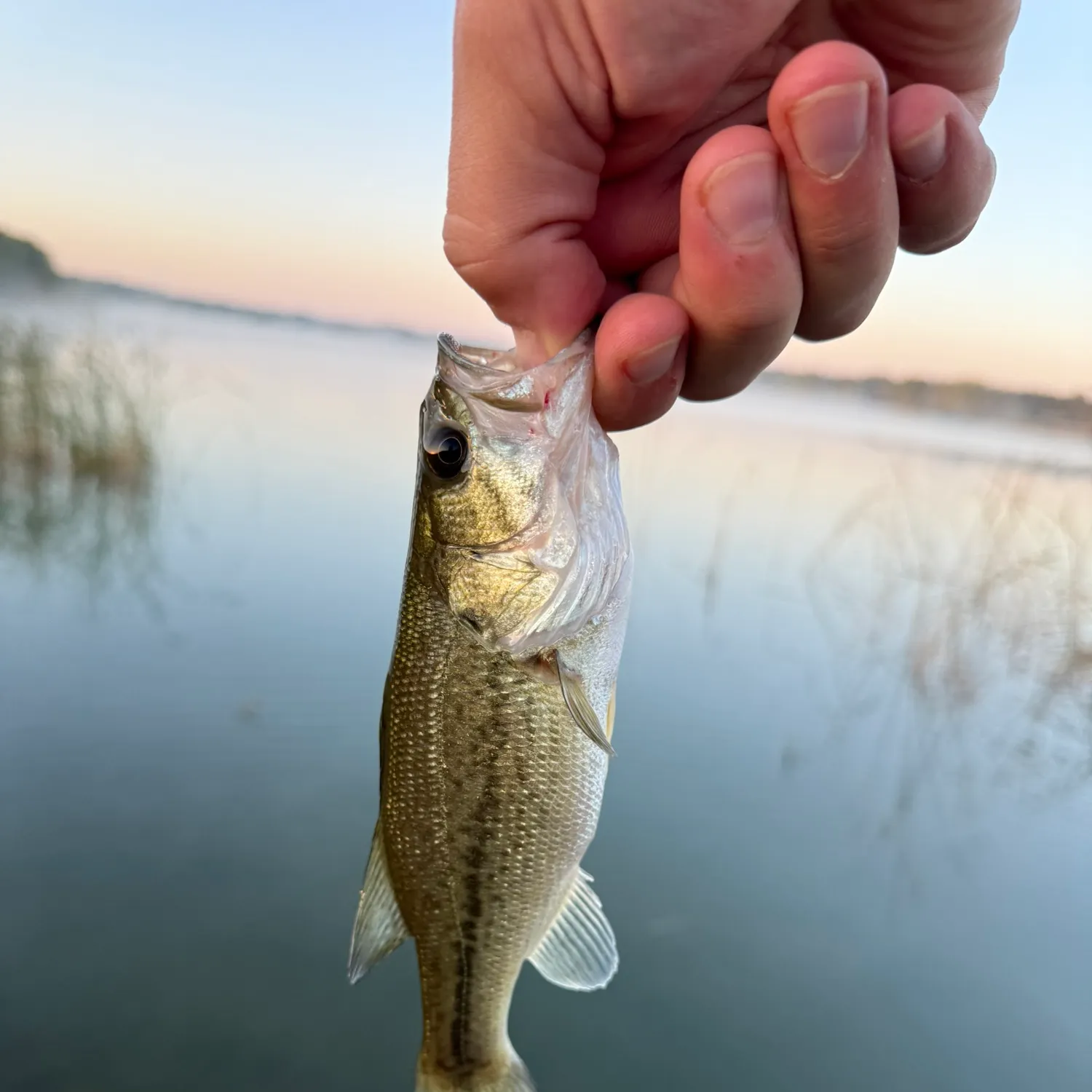 Fishing in Omaha, NE (United States) ️️️️ Find Spots, Species & Tips