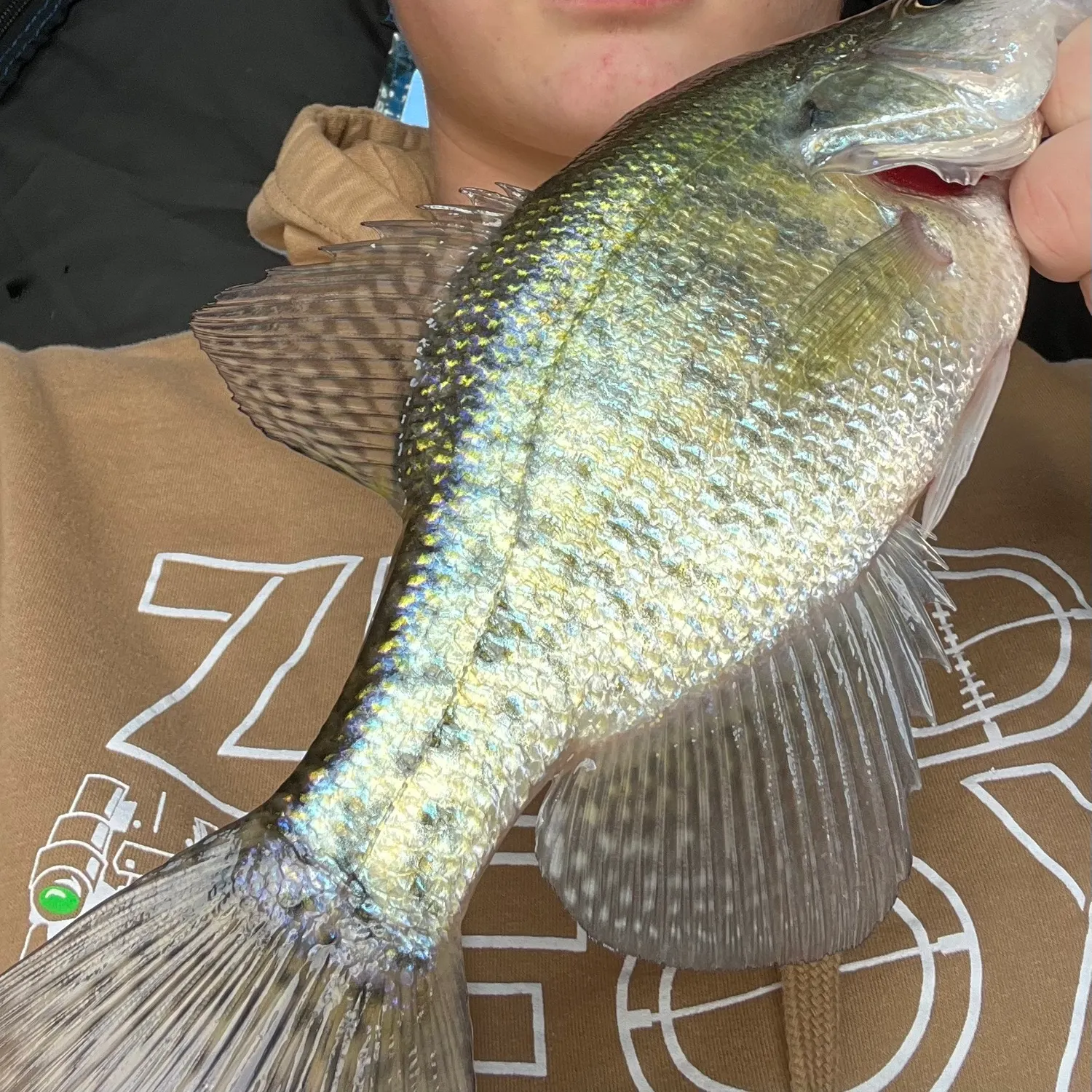 Fishing in Omaha, NE (United States) ️️️️ Find Spots, Species & Tips
