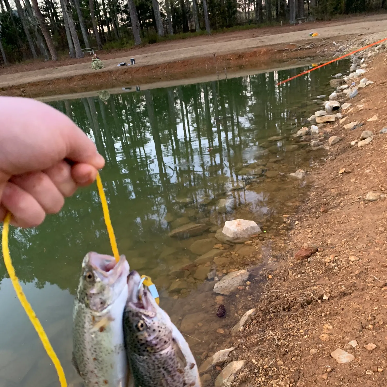 ᐅ Madison County Lake fishing reports🎣• Huntsville, AL (United States ...