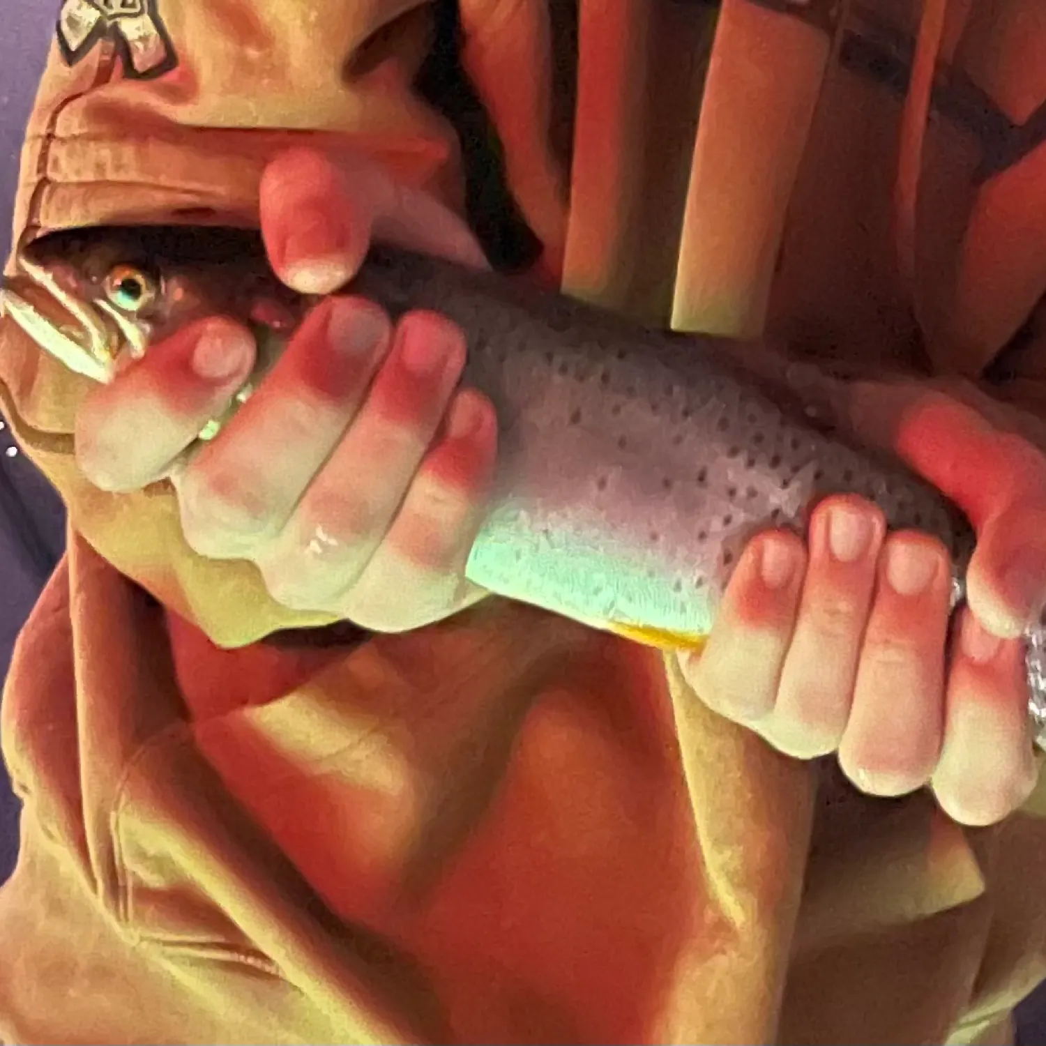 ᐅ Strawberry Reservoir fishing reports🎣• Springville, UT (United States ...