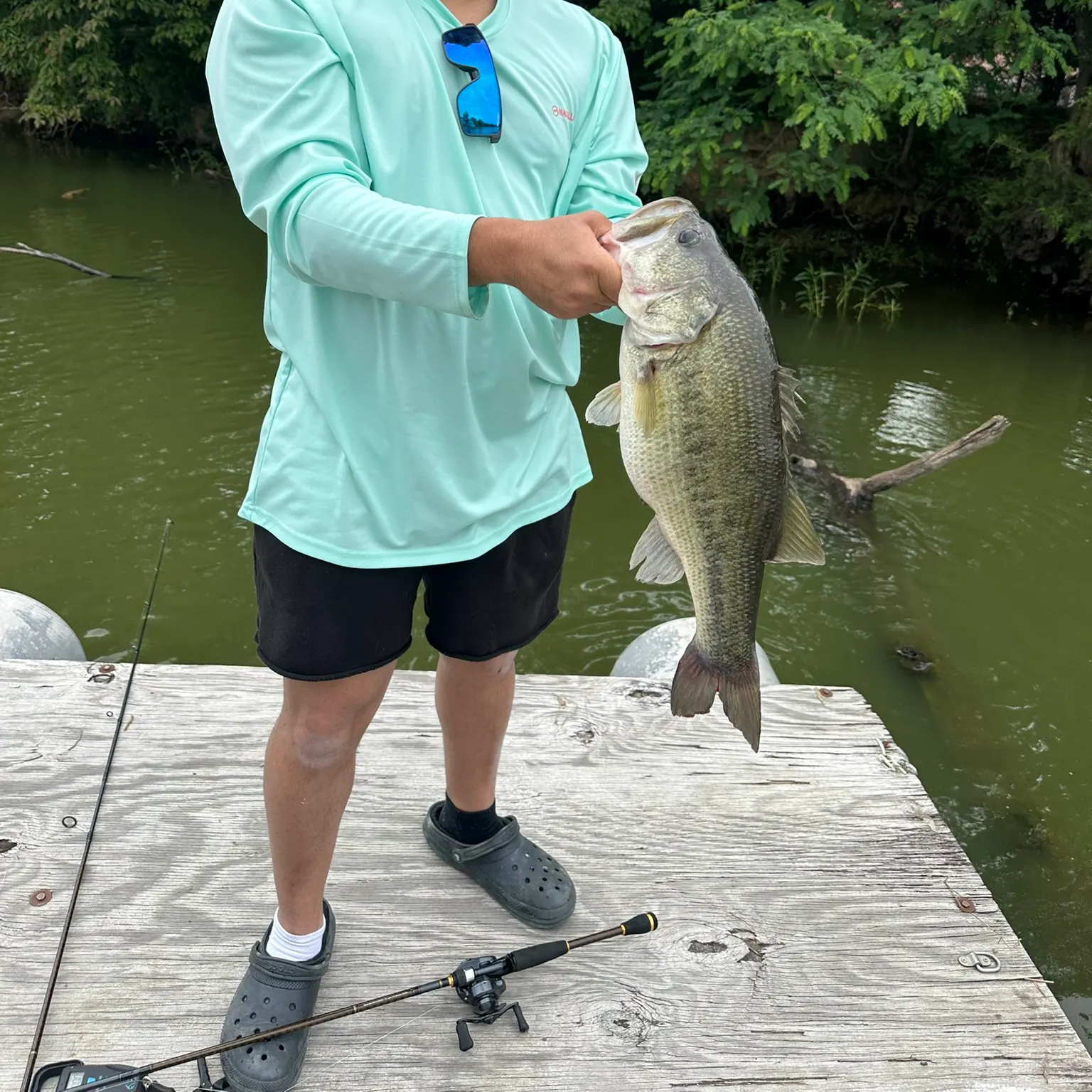 Fishing in Memphis, TN (United States) ️️️️ Find Spots, Species & Tips