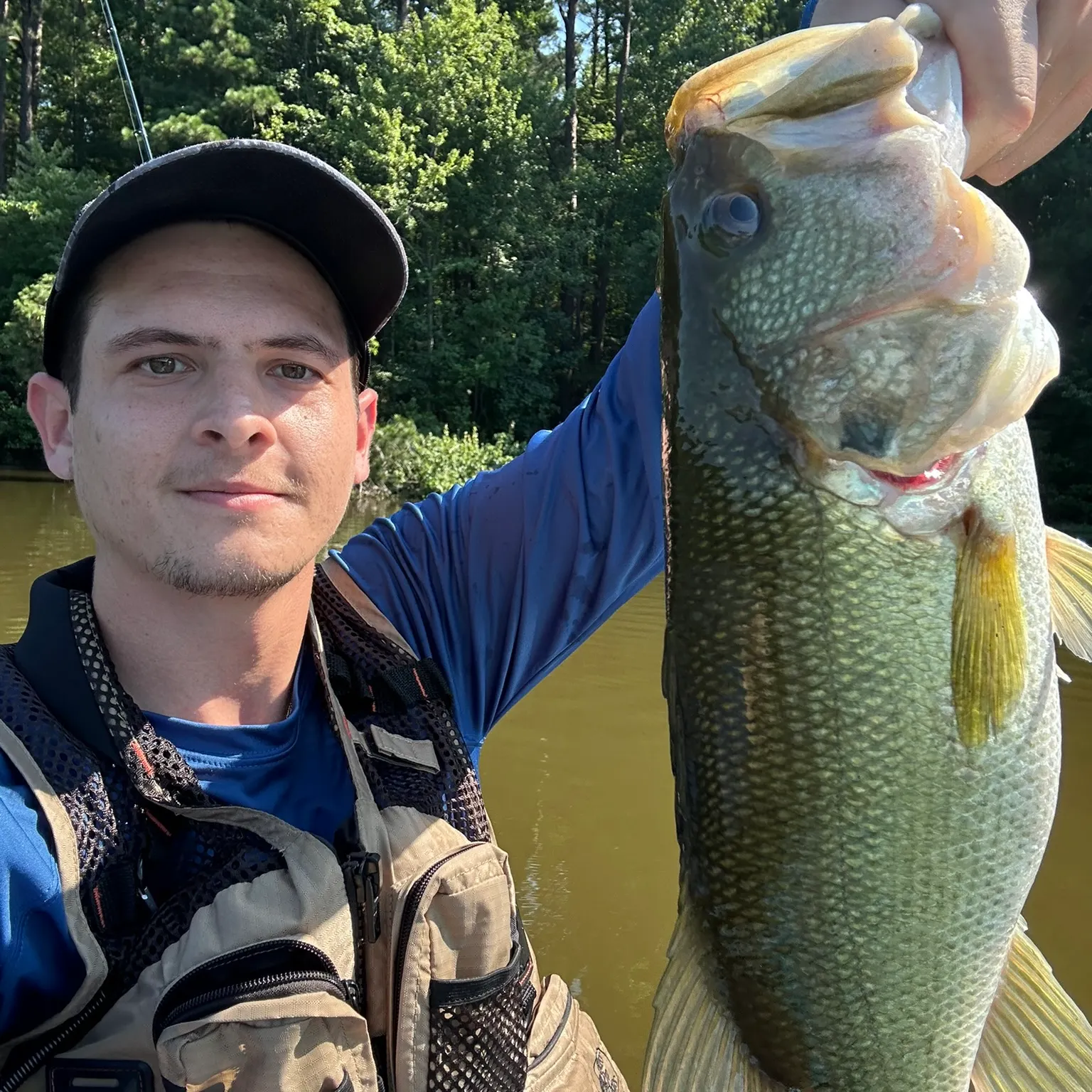 Fishing in Raleigh, NC (United States) ️️️️ Find Spots, Species & Tips