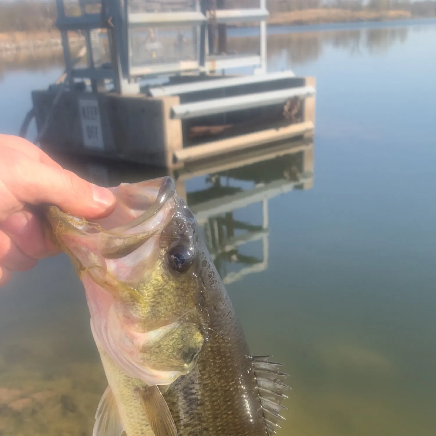 Fishing in Omaha, NE (United States) ️️️️ Find Spots, Species & Tips