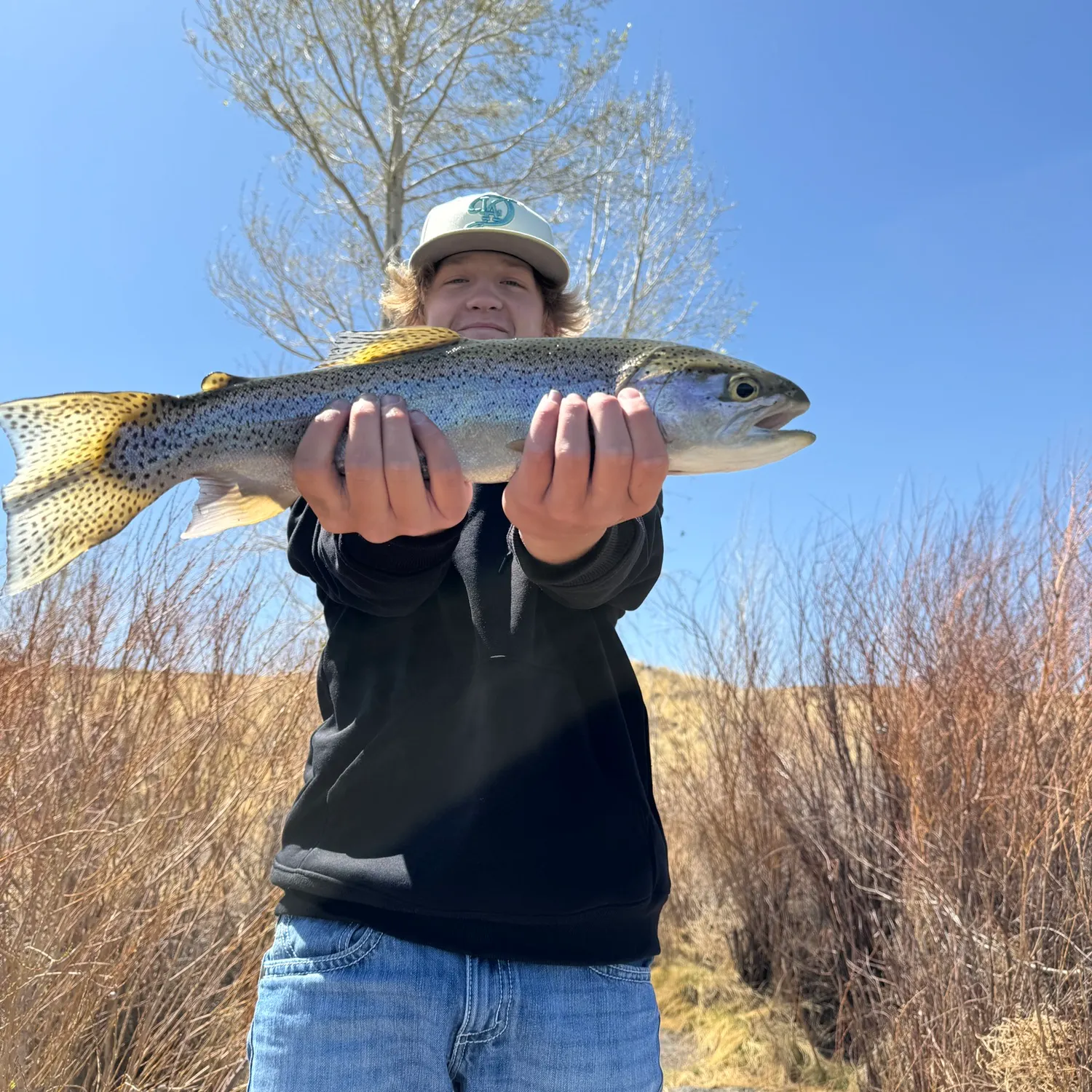 ᐅ Becker Lake fishing reports🎣• Show Low, AZ (United States) fishing