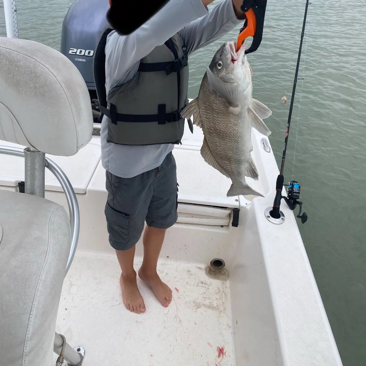 ᐅ Packery Channel fishing reports🎣• Corpus Christi, TX (United States ...