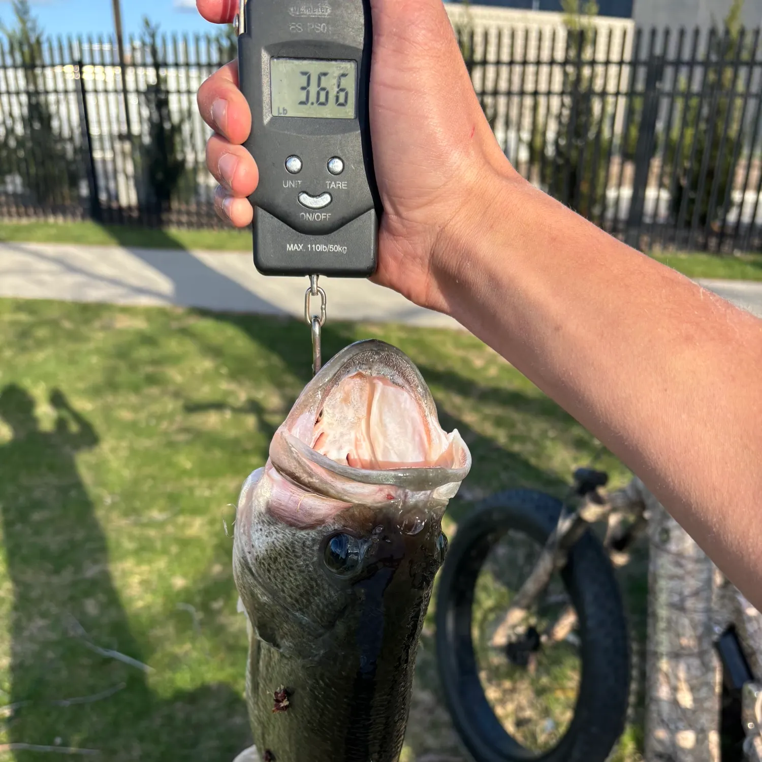 ᐅ Busse Lake (Busse Forest Reservoir) fishing reports🎣• Elk Grove ...