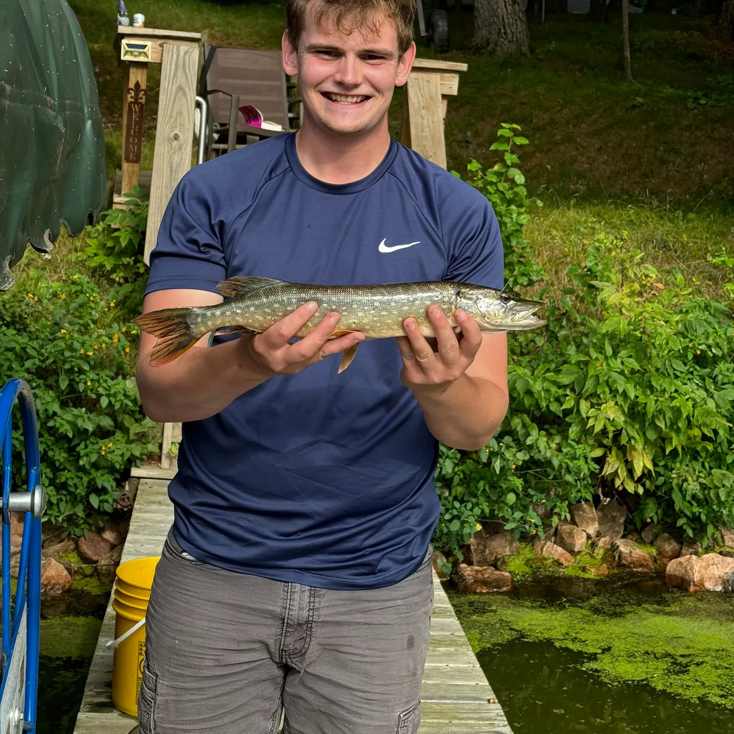 ᐅ Lake Chetek fishing reports🎣• Chippewa Falls, WI (United States) fishing