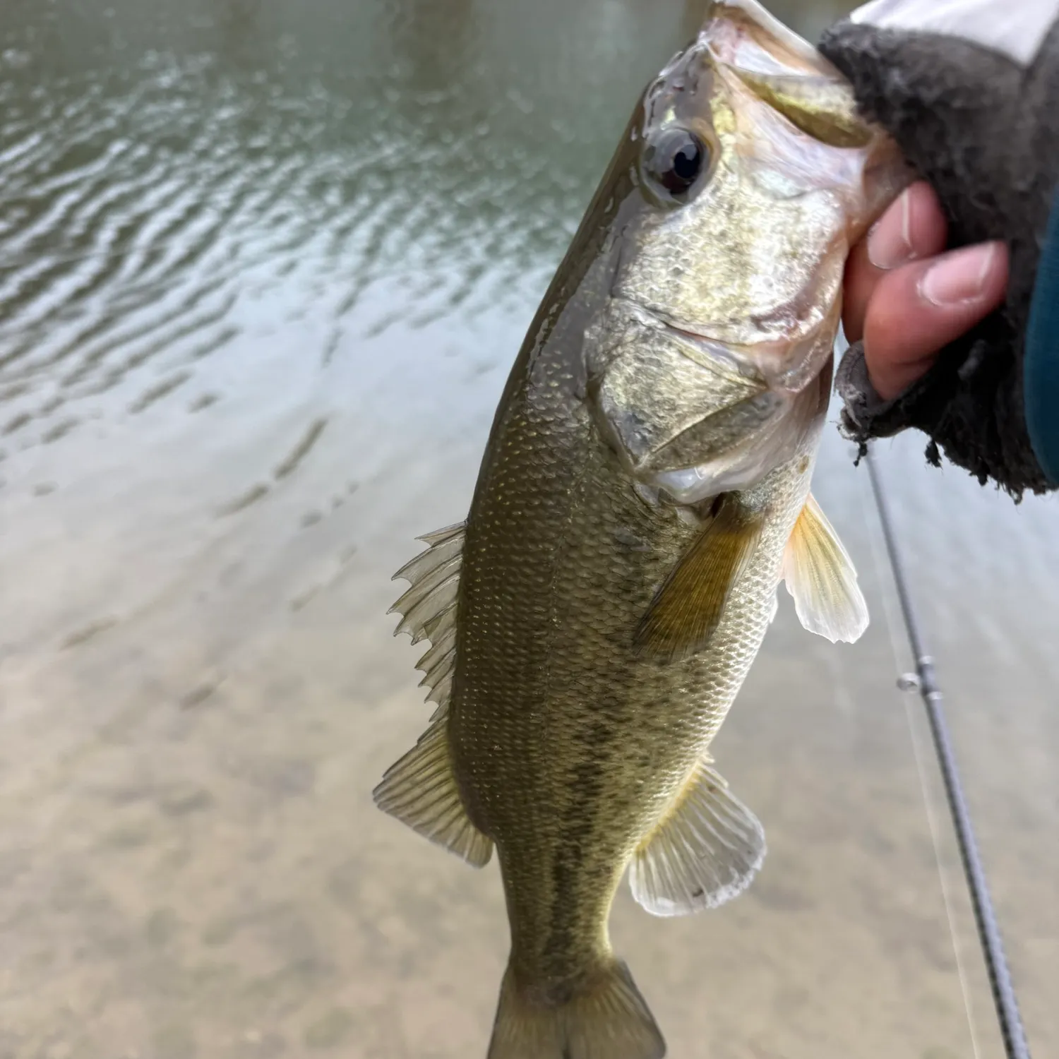Fishing in Tulsa, OK (United States) ️️️️ Find Spots, Species & Tips