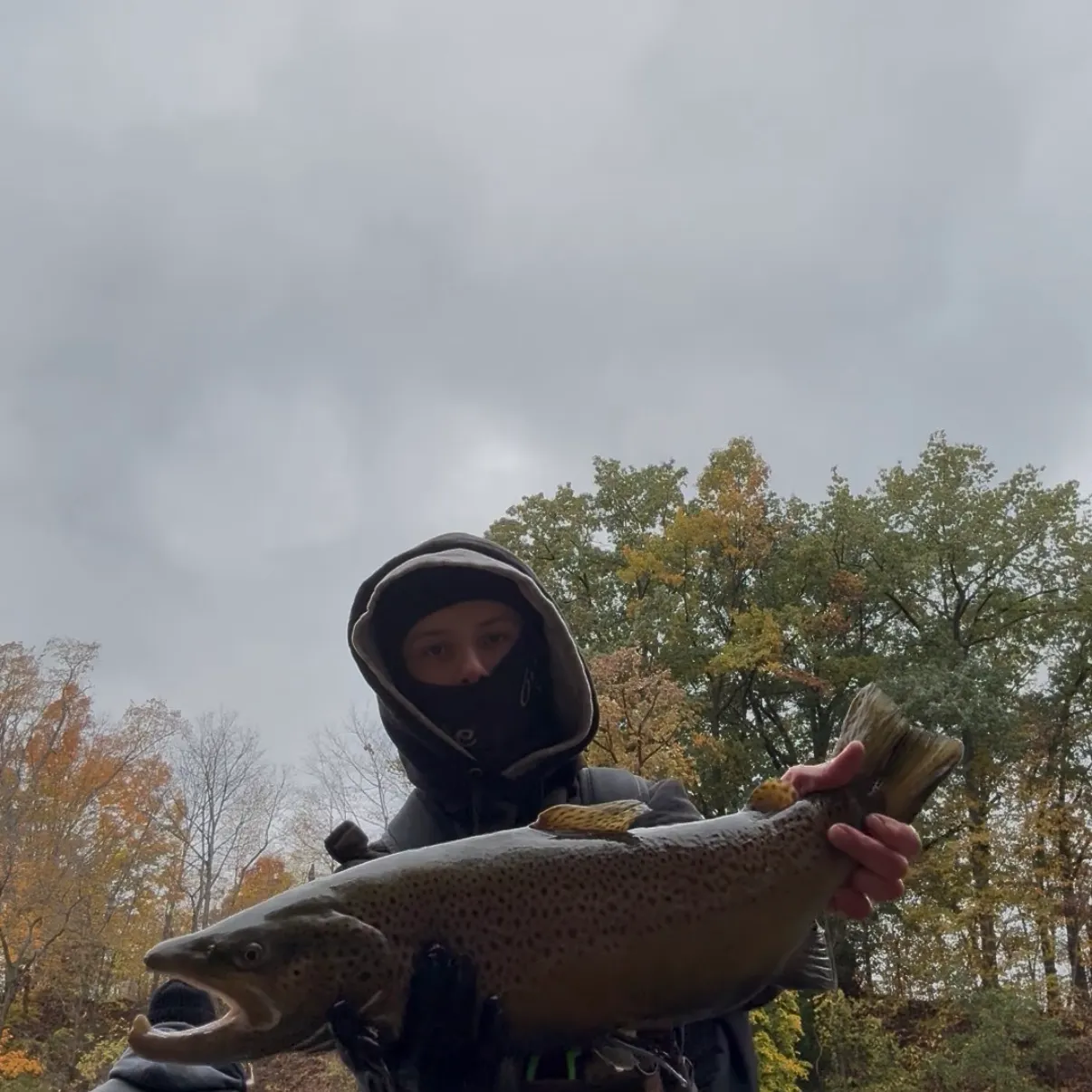 ᐅ Burt Dam fishing reports🎣• Lockport, NY (United States) fishing