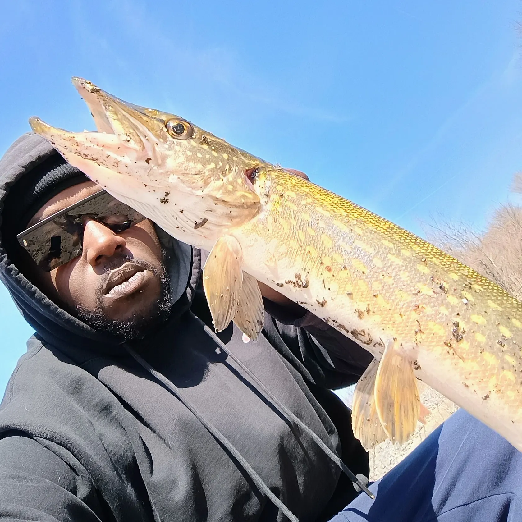 ᐅ Detroit River (MI) fishing reports🎣• Wyandotte, MI (United States ...