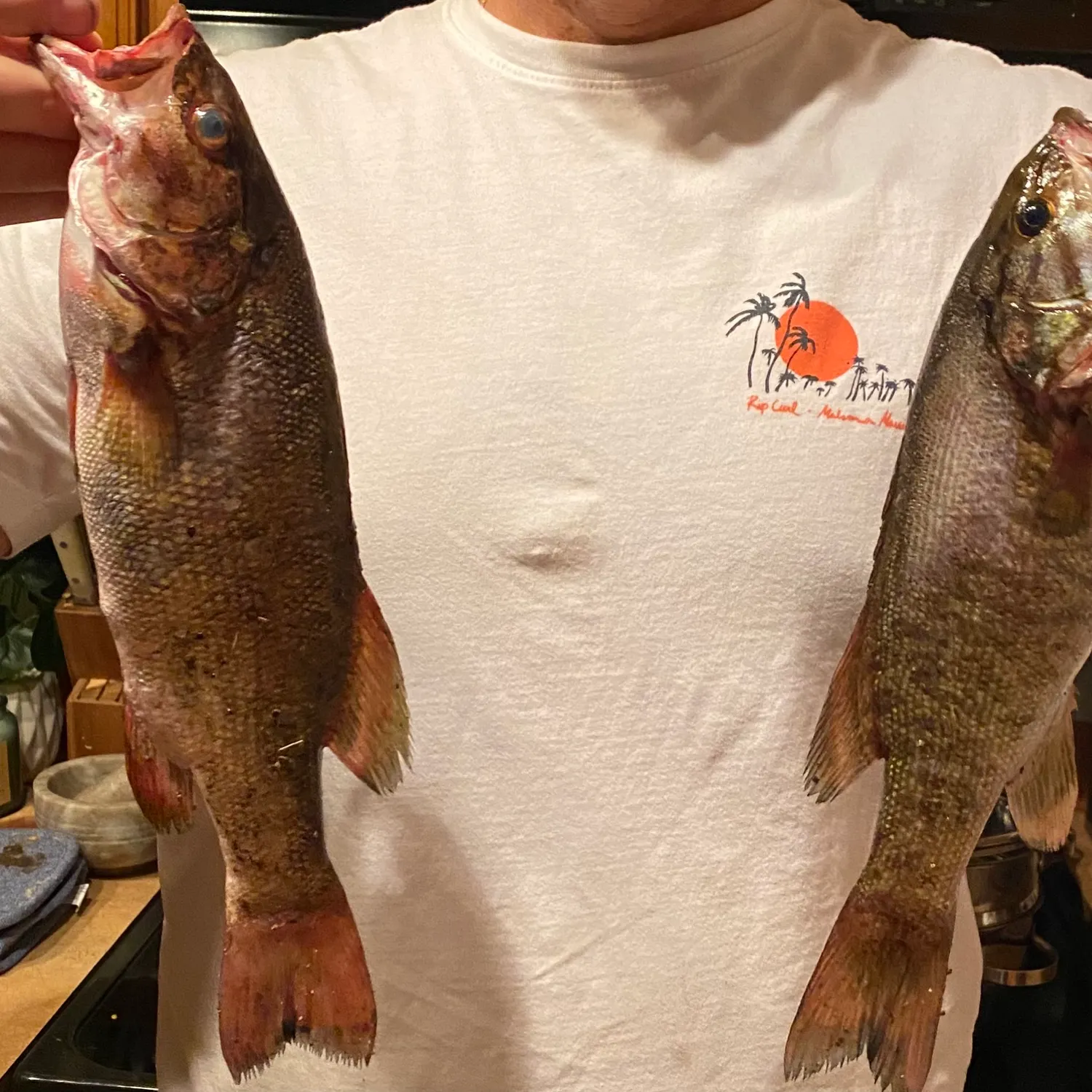 Fishing in Coeur d'Alene, ID (United States) ️️️️ Find Spots, Species ...