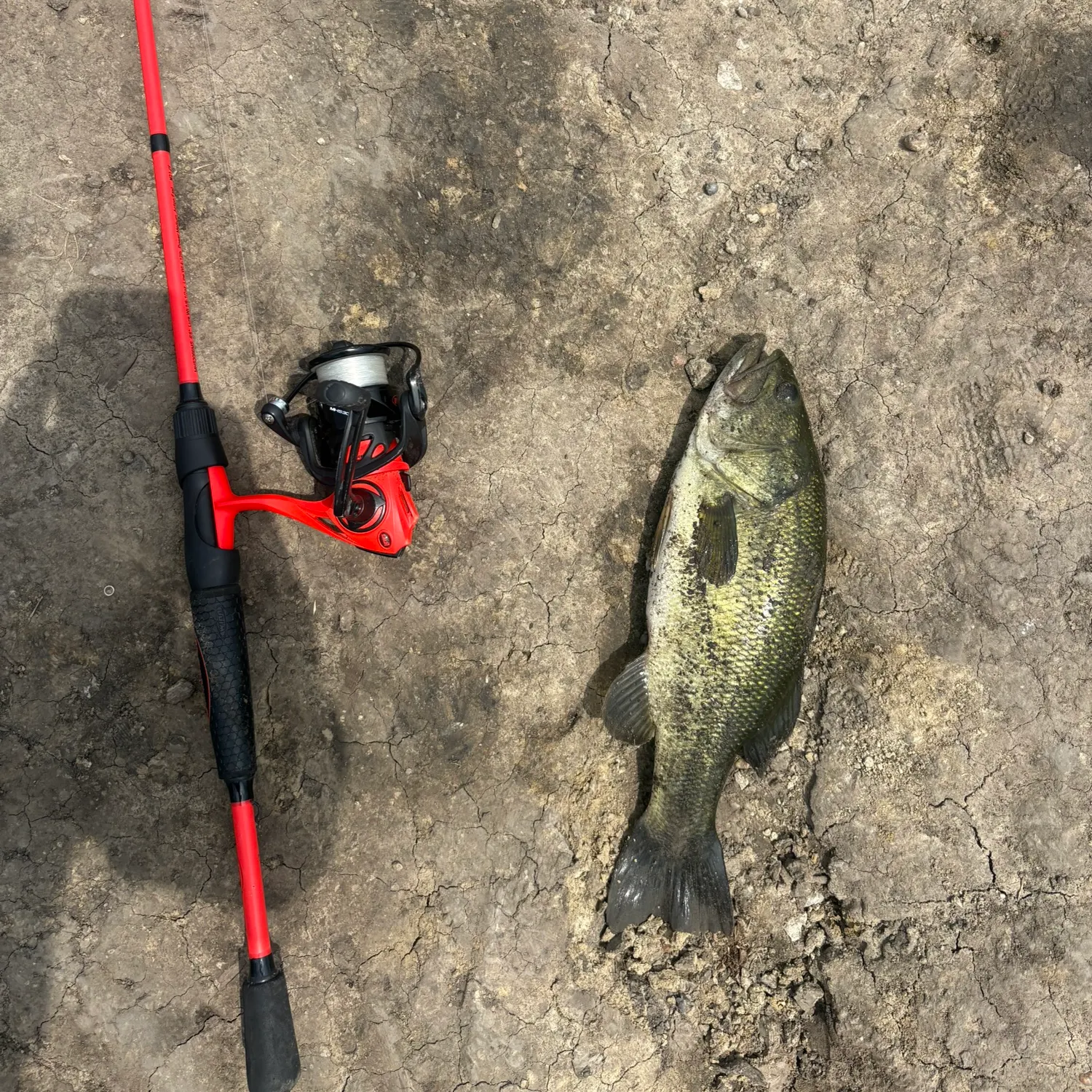 Fishing in Omaha, NE (United States) ️️️️ Find Spots, Species & Tips