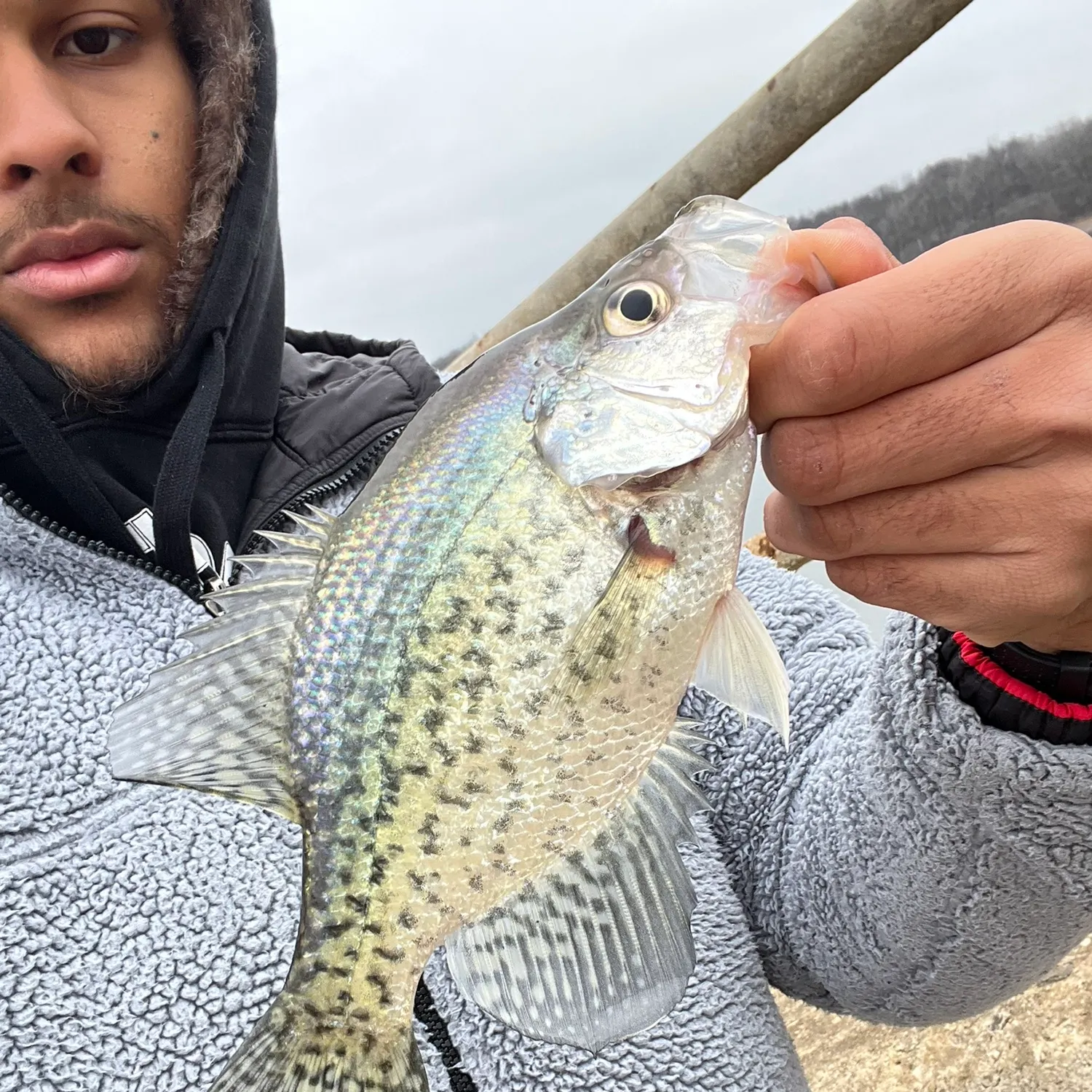 ᐅ Hoover Reservoir fishing reports🎣• Westerville, OH (United States ...