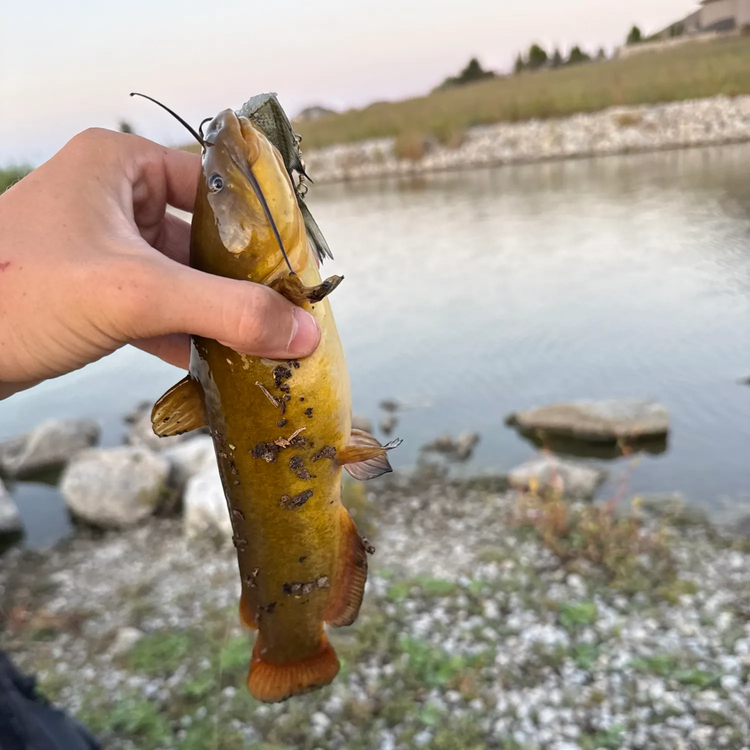 Fishing in Omaha, NE (United States) ️️️️ Find Spots, Species & Tips