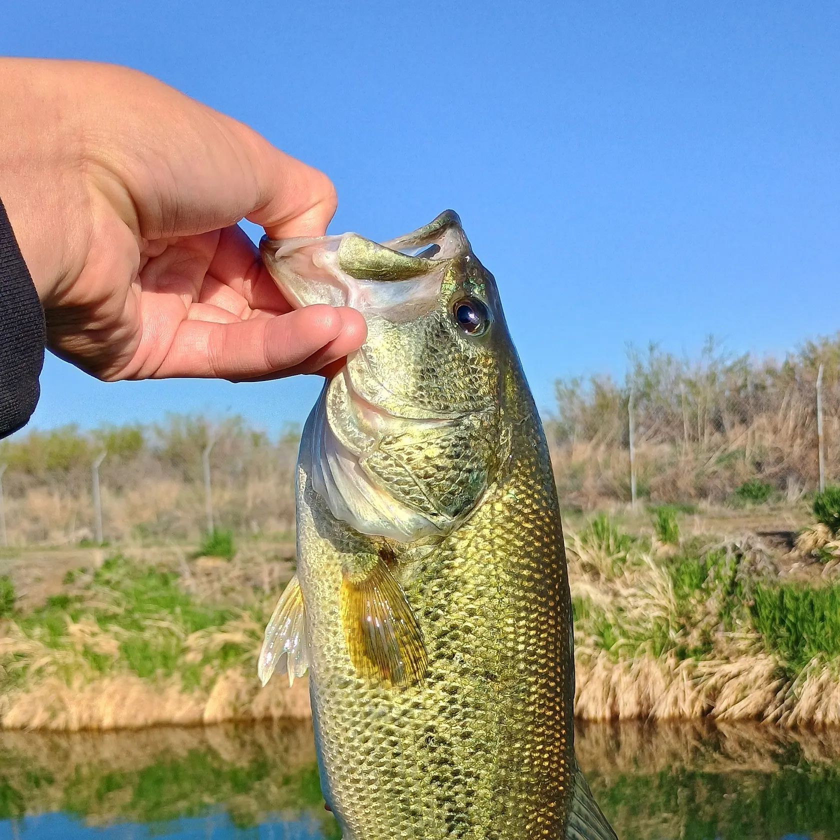 ᐅ Horsetooth Reservoir fishing reports🎣• Fort Collins, CO (United ...