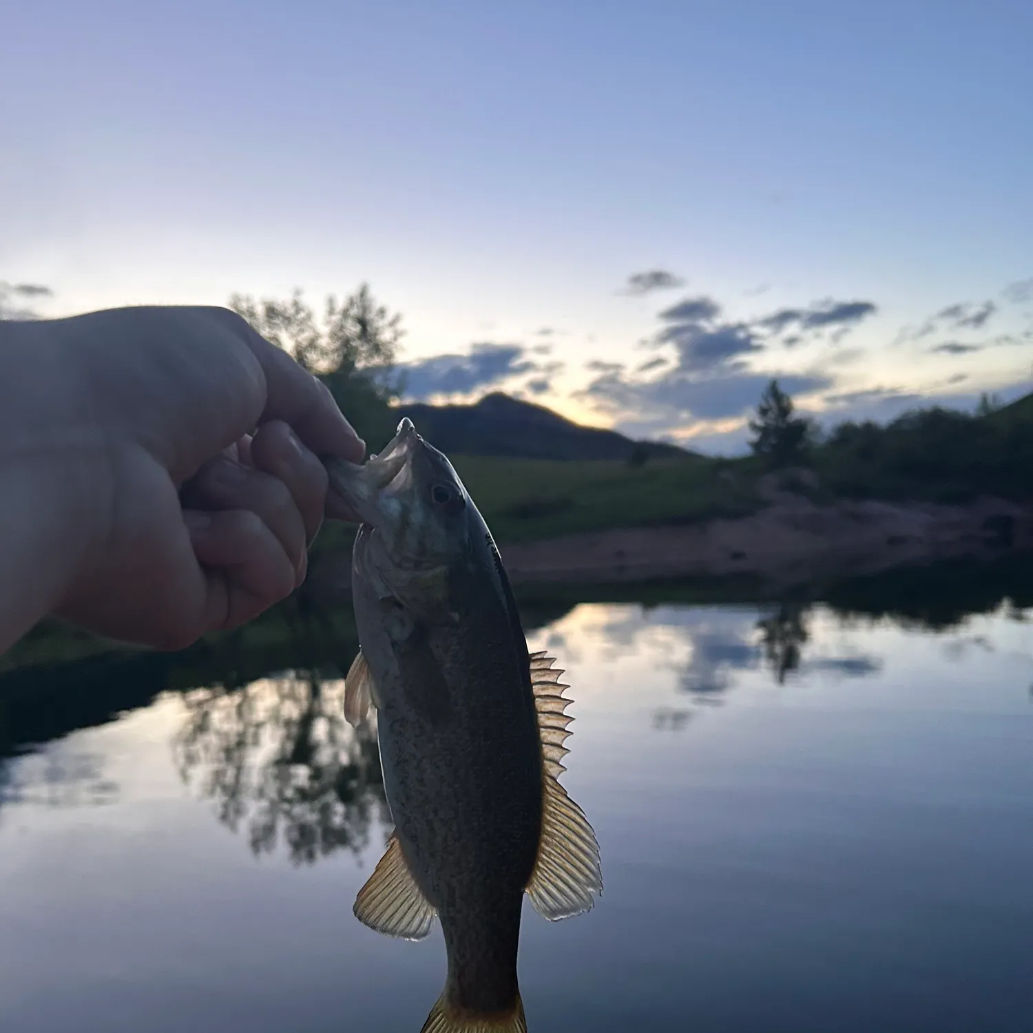 ᐅ Horsetooth Reservoir fishing reports🎣• Fort Collins, CO (United ...